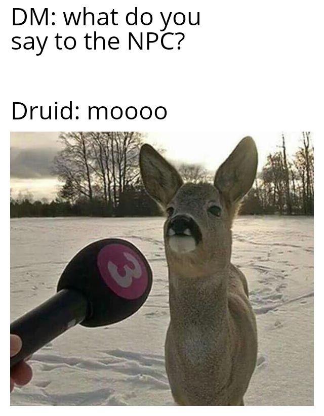 Wild shape me captain | Scrolller