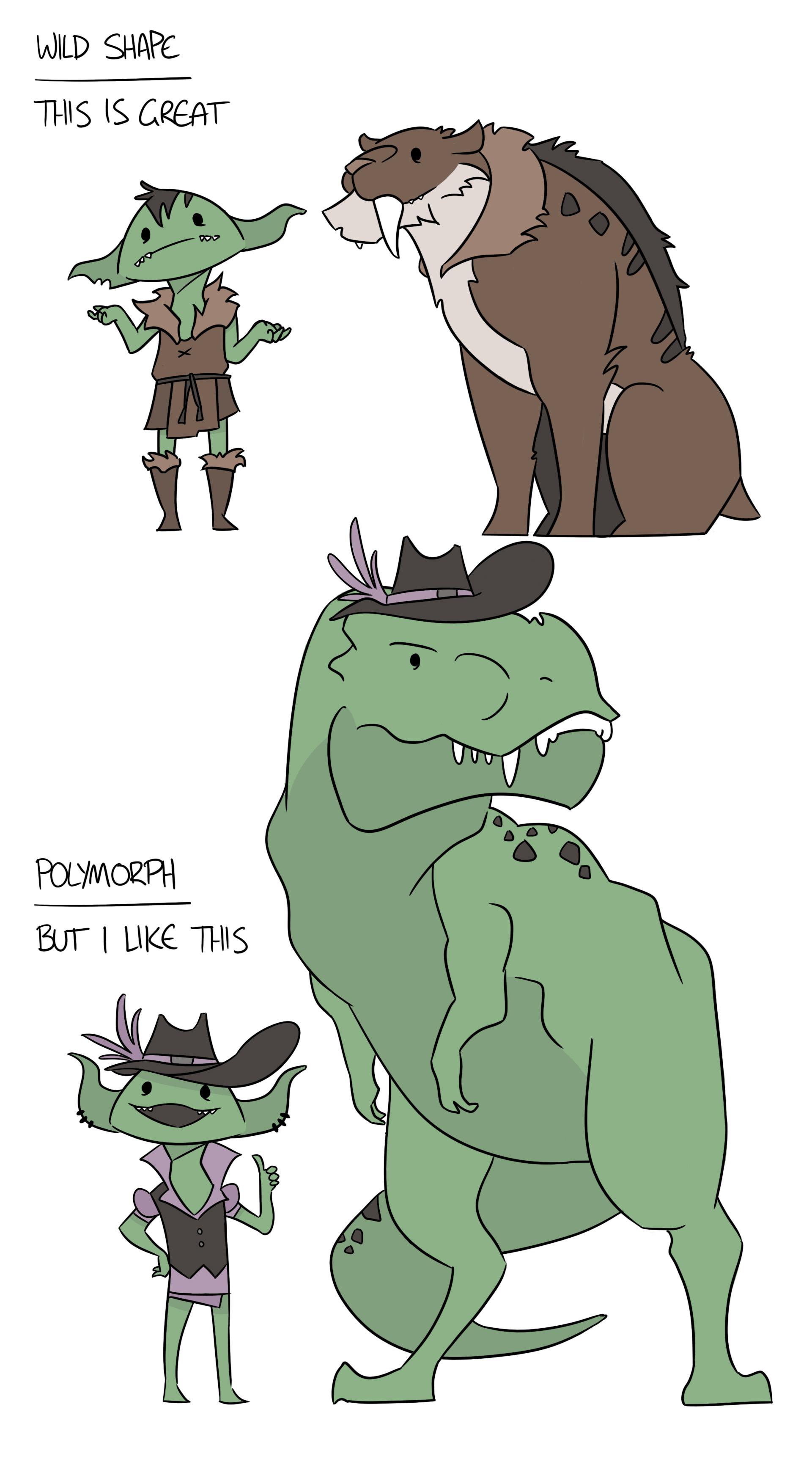 Wild Shape vs Polymorph [OC] | Scrolller