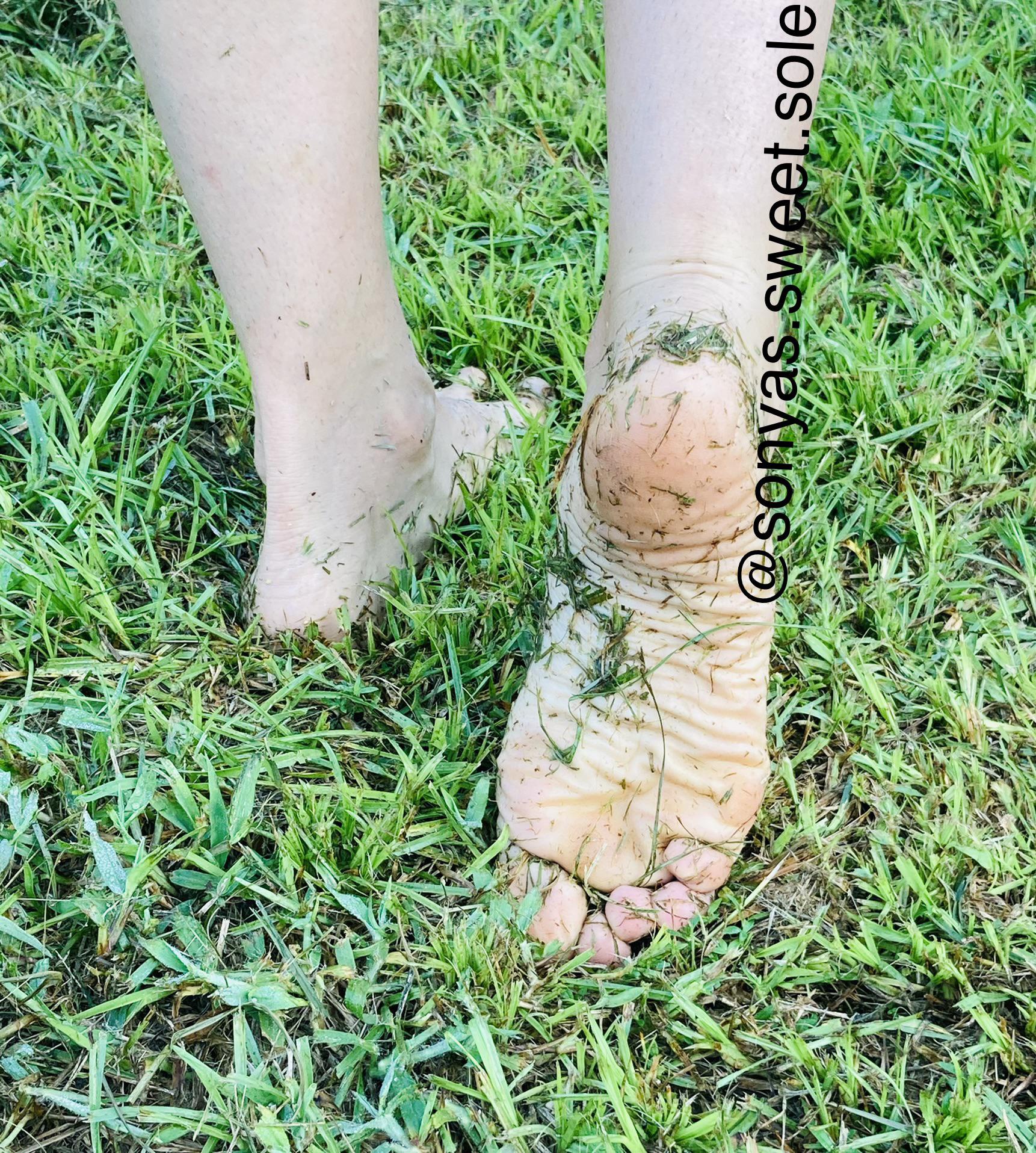 Will You Lick My Soles Clean Scrolller
