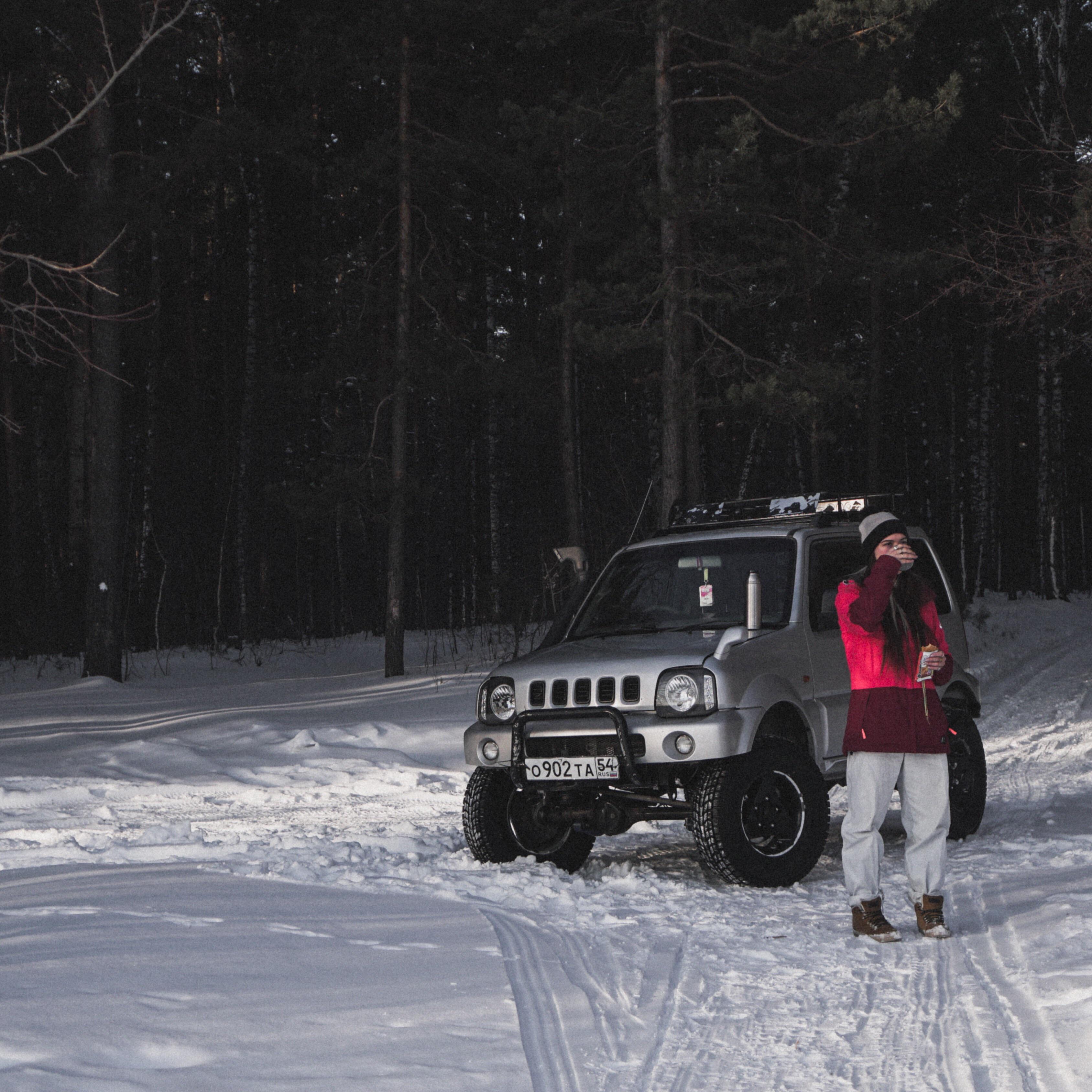 Winter forest | Scrolller