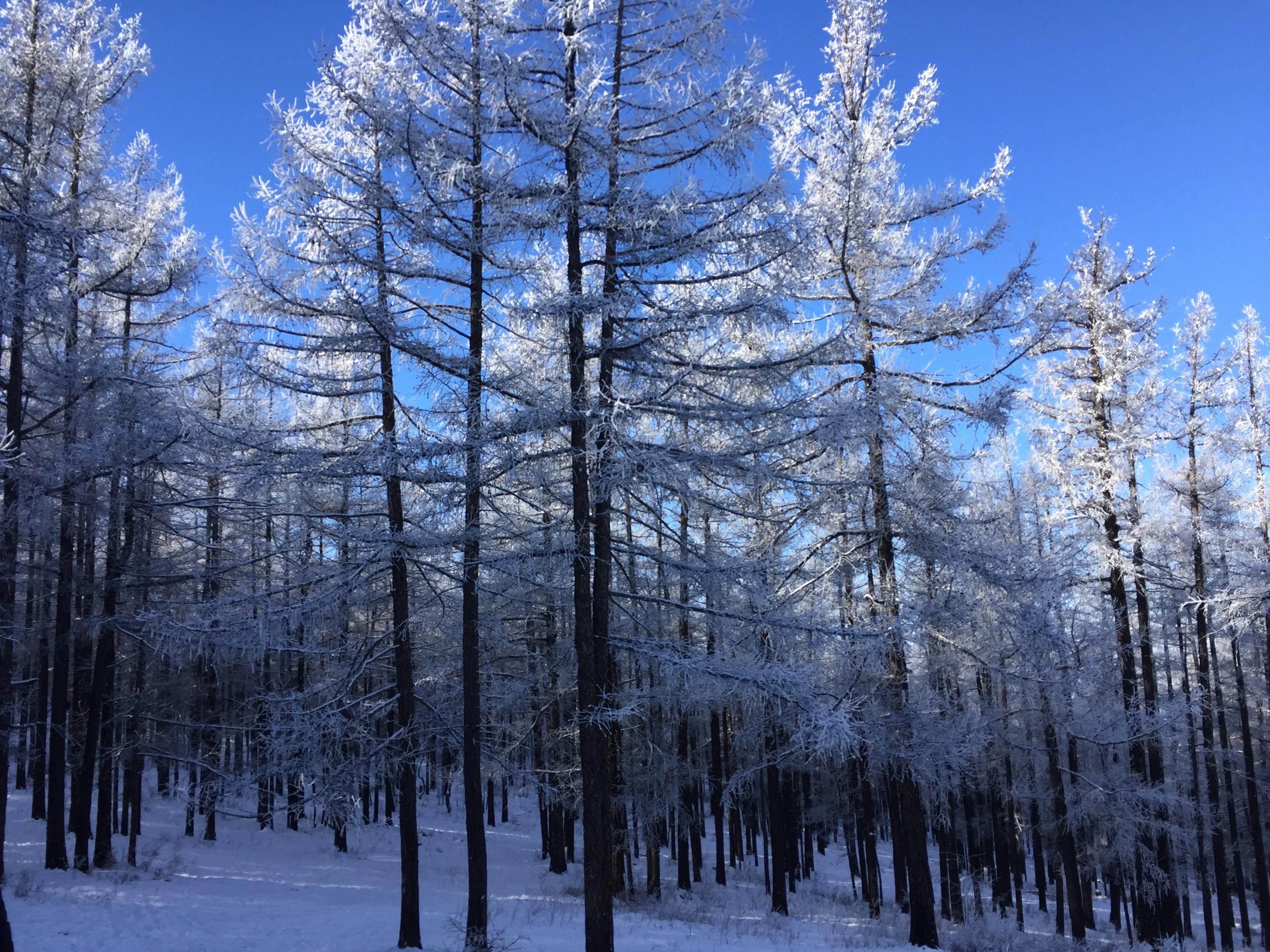 Winter Hike in the Mongolian countryside | Scrolller