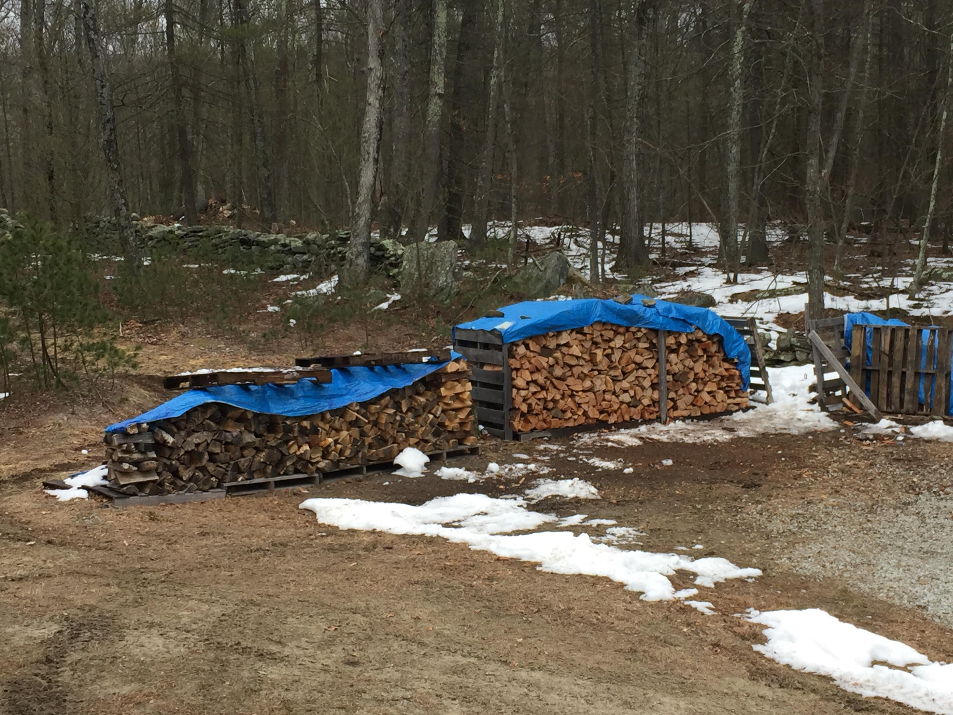 Winter prep begins! | Scrolller