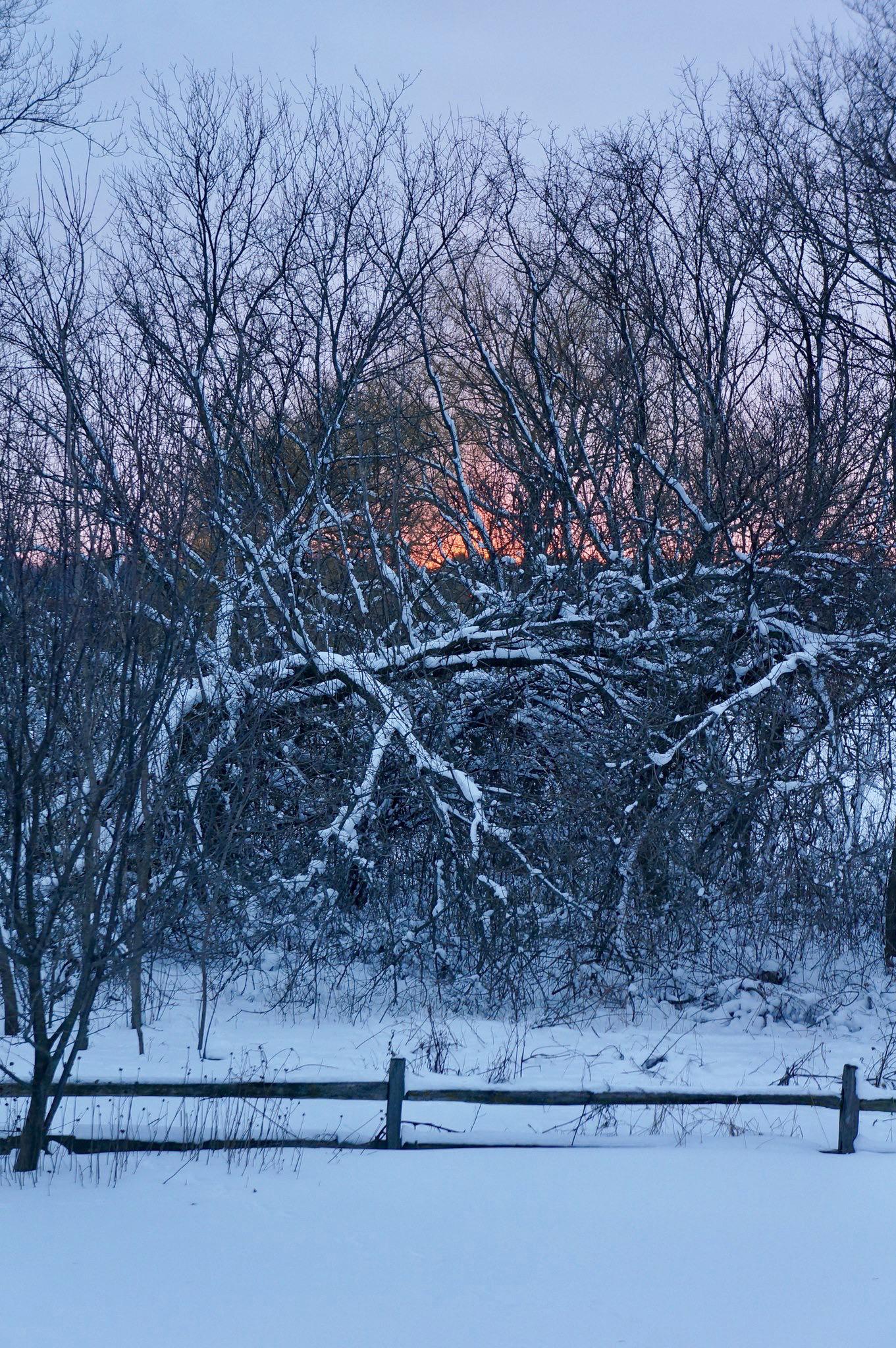 Winter sunset | Scrolller