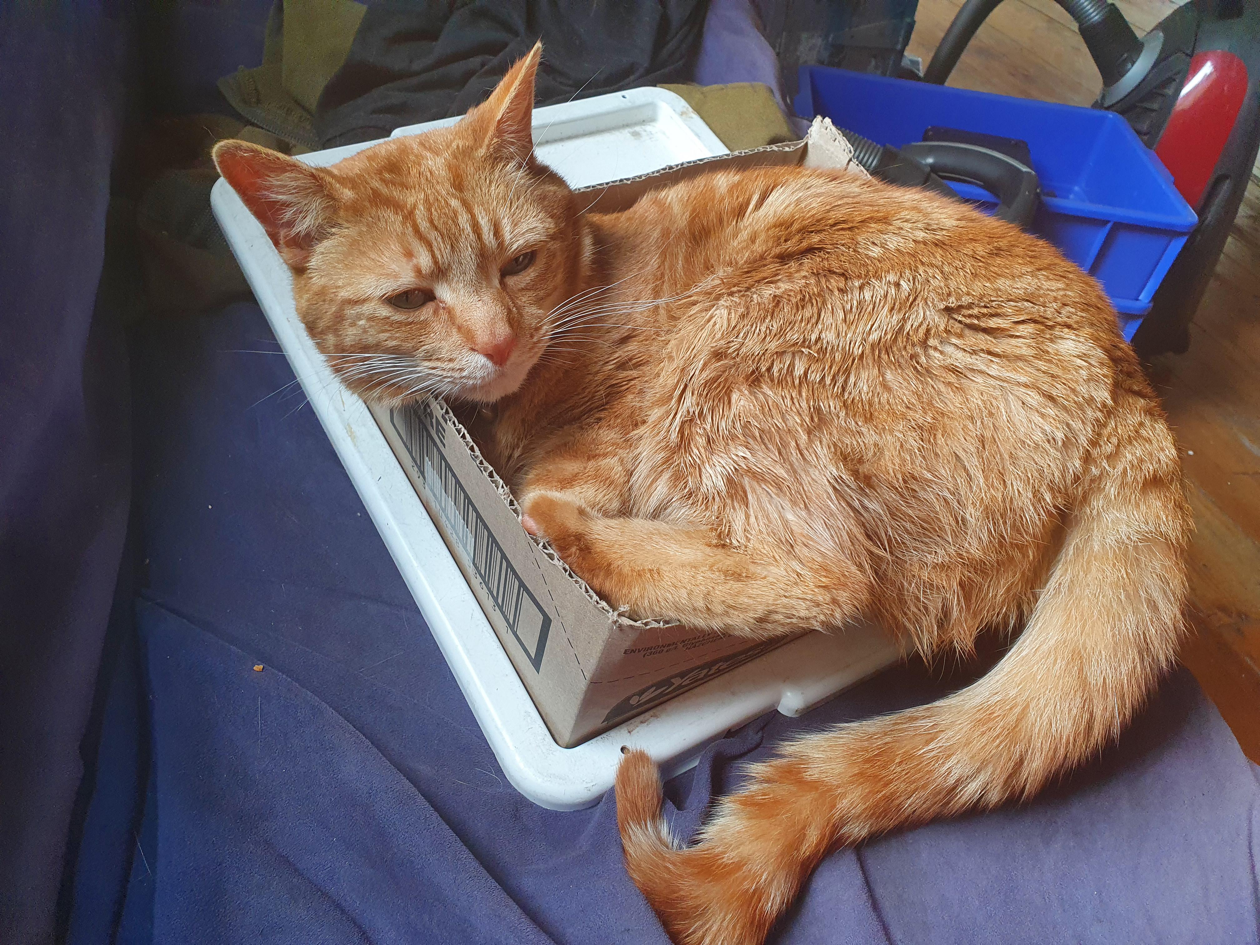 Discover more like TIGHTPUSSY: Wishful thinking and Related Content | Scrolller