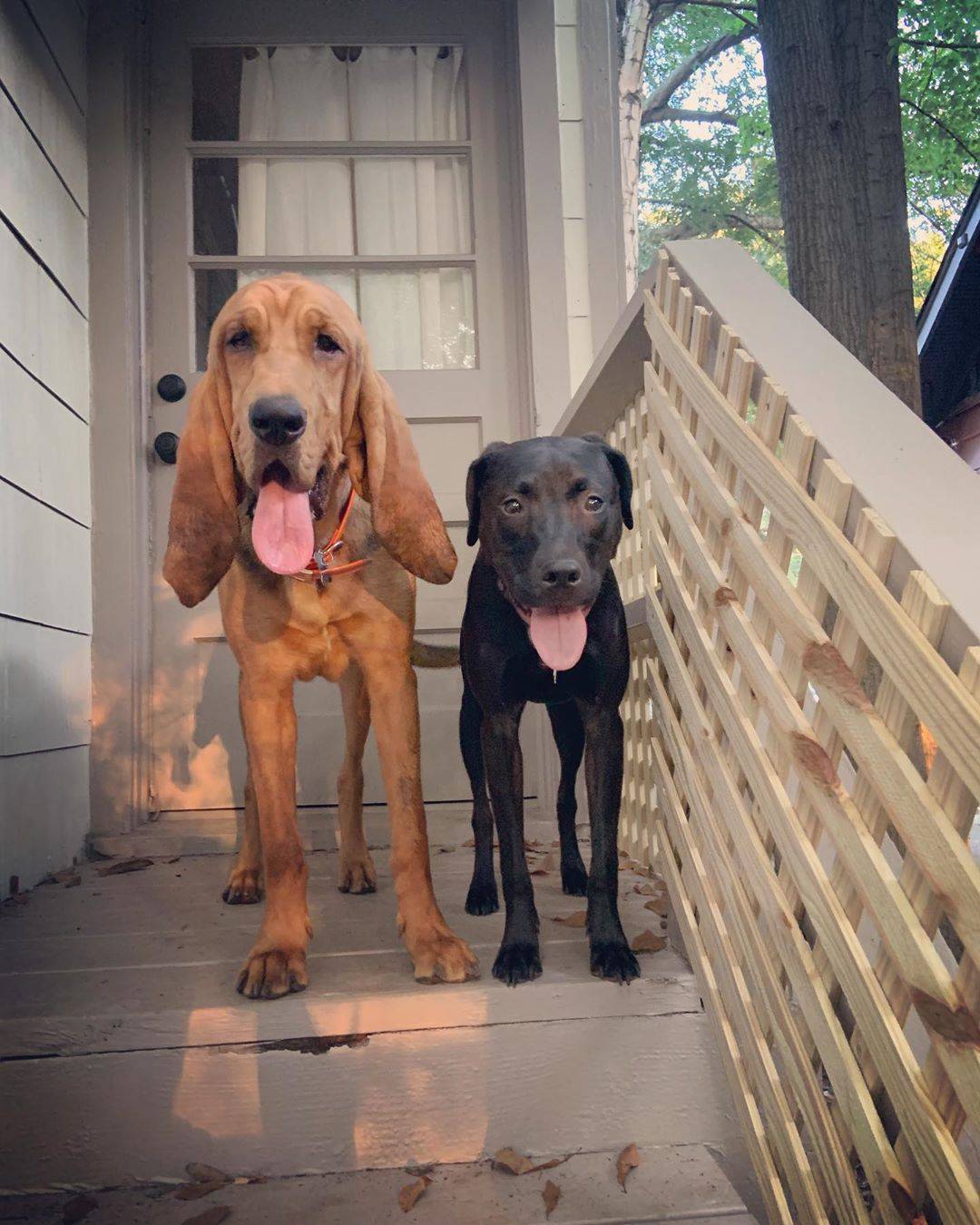 With her buddy | Scrolller