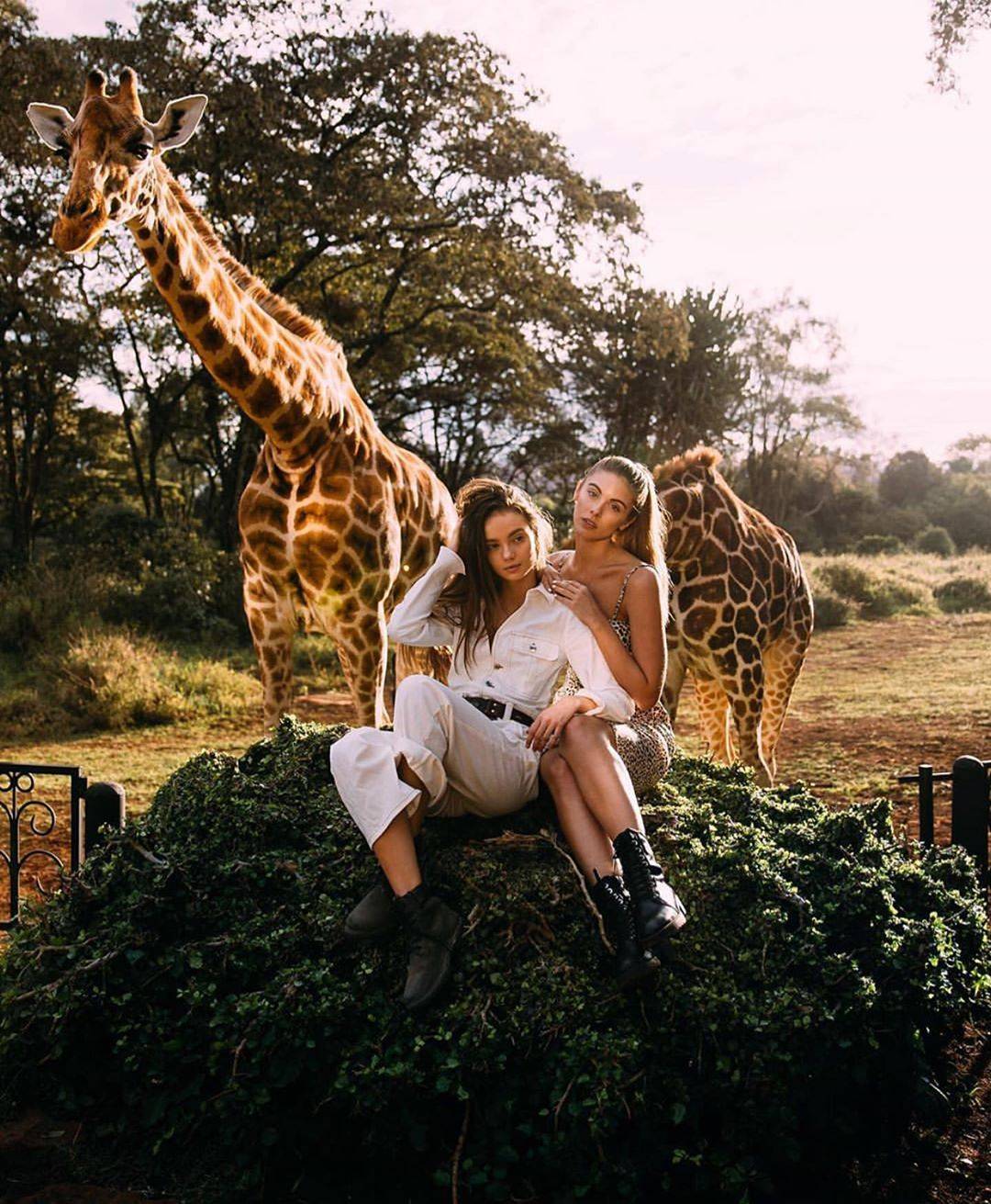 With Inka and the Giraffes | Scrolller