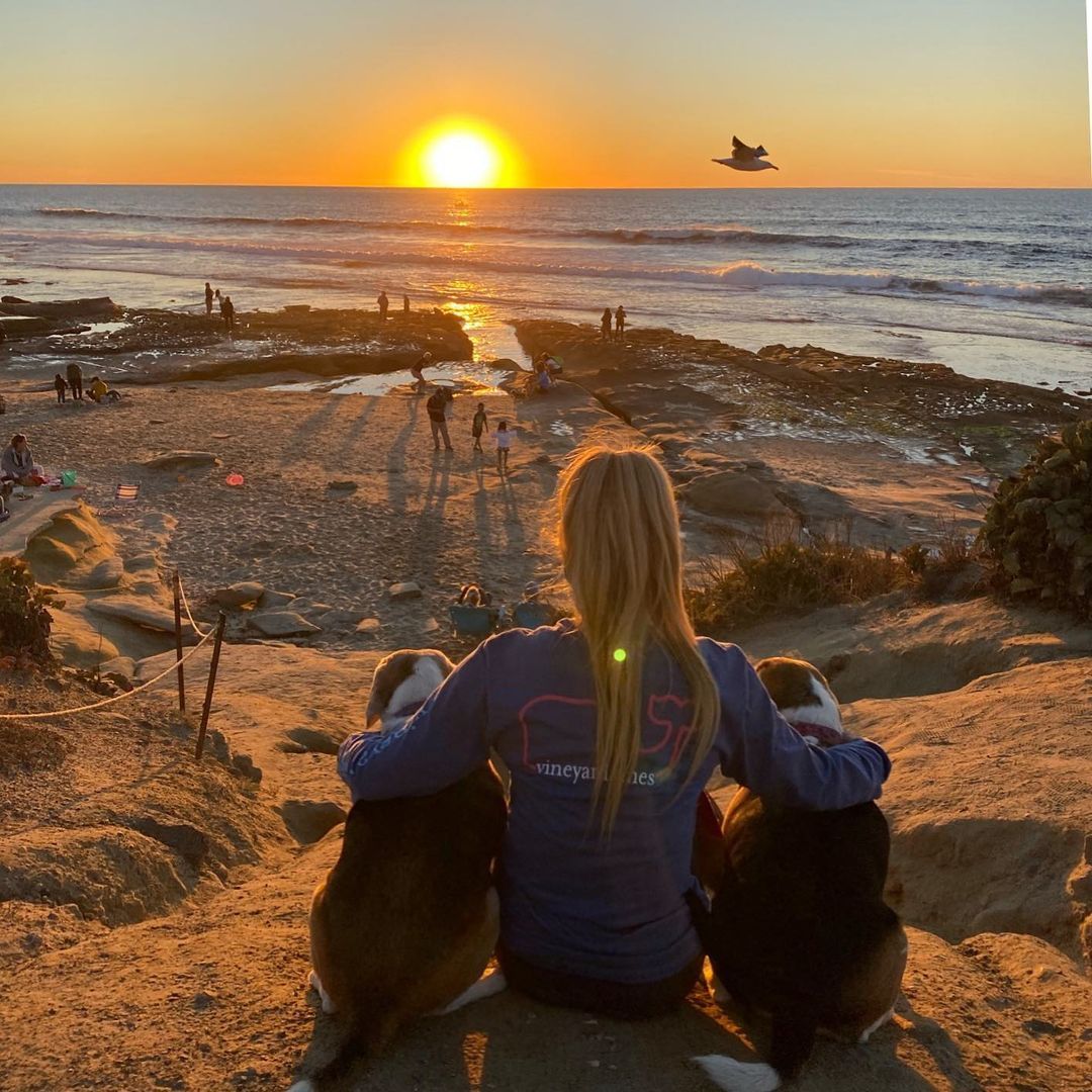 with my beagles🧡🌅 | Scrolller