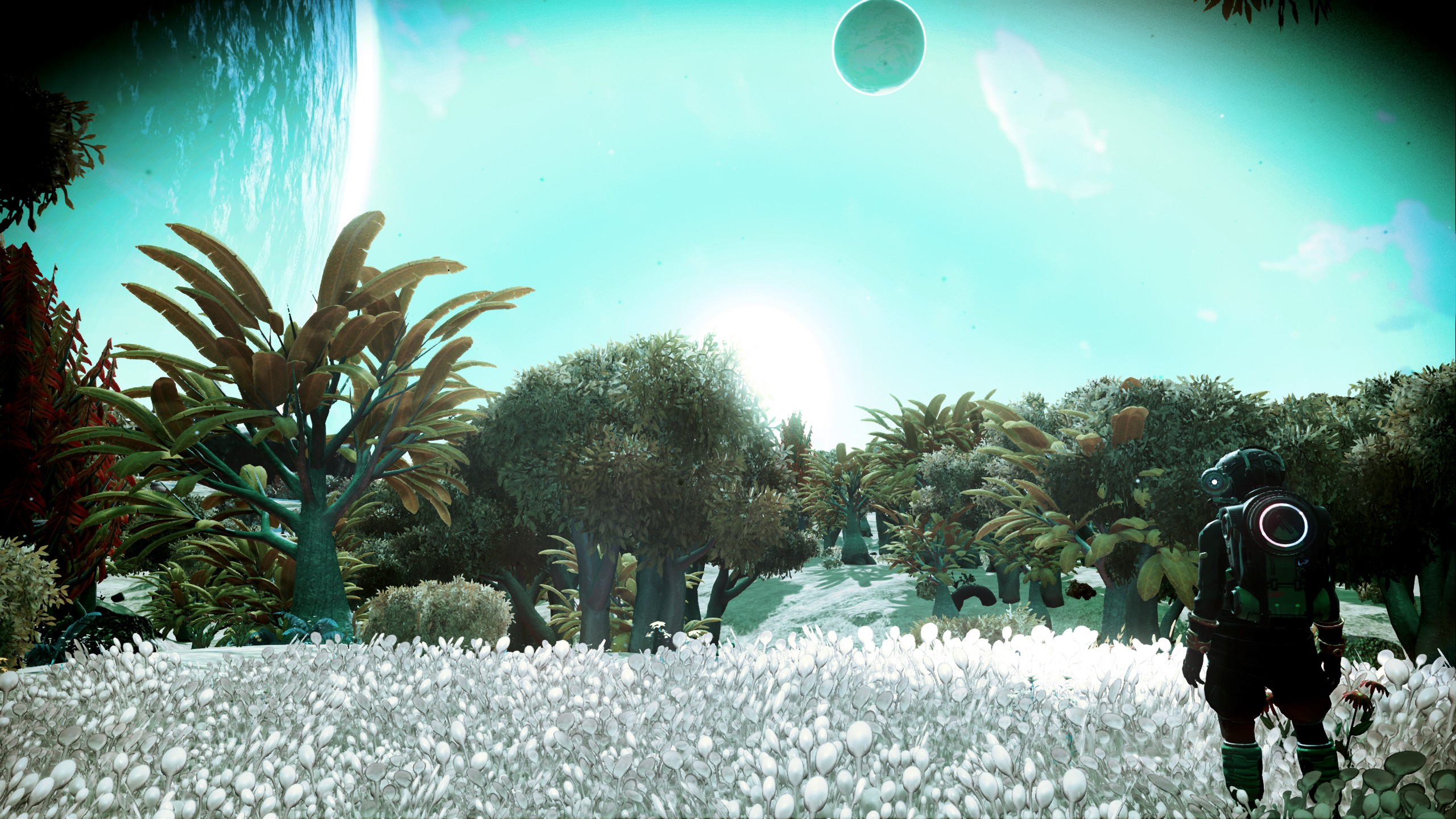 Withe grass planet | Scrolller