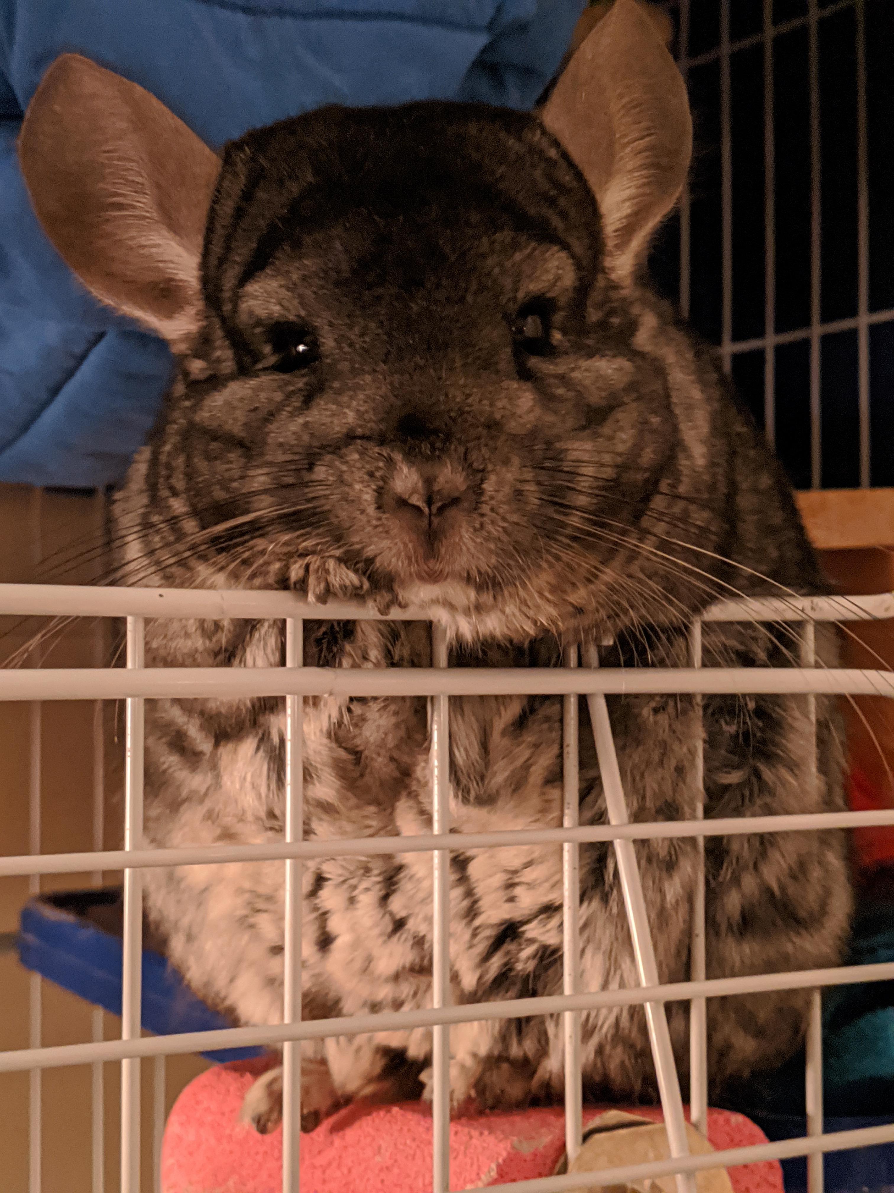 Woke up like this | Scrolller