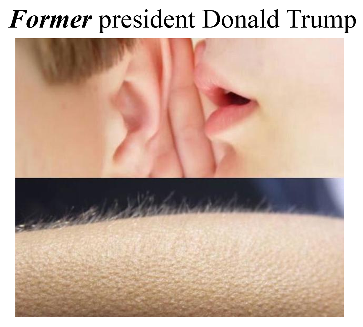 Womp womp 🎺 | Scrolller