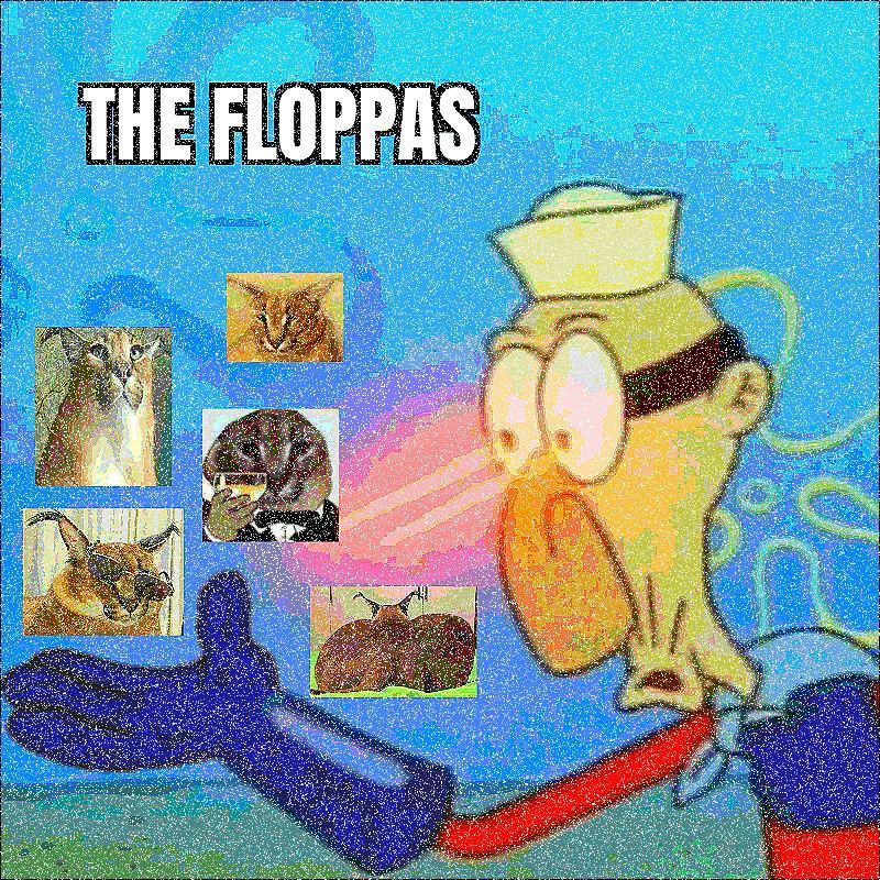 wonder who has the biggest floppa collection 😎 | Scrolller