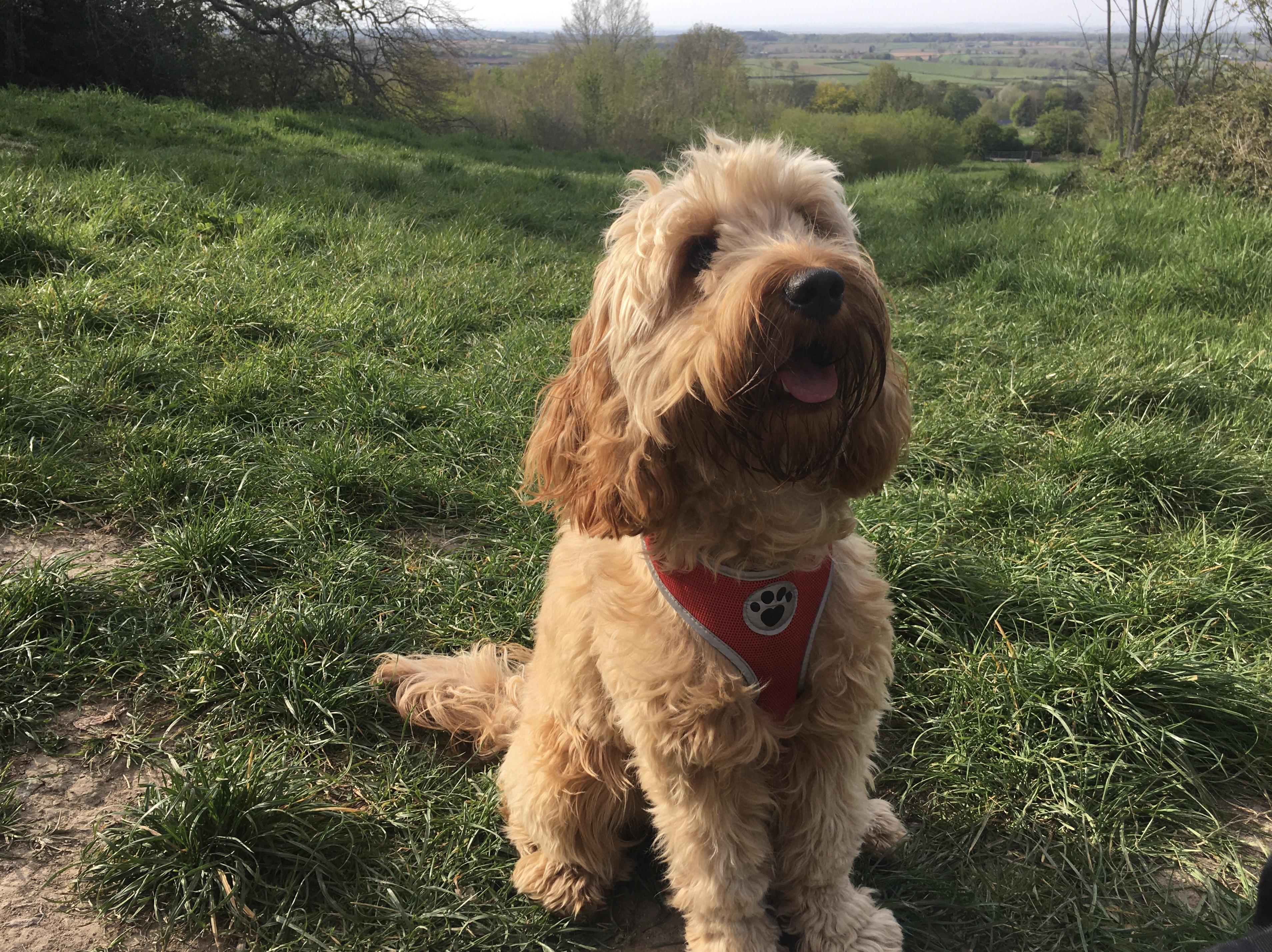 Woodland walk pit stop | Scrolller