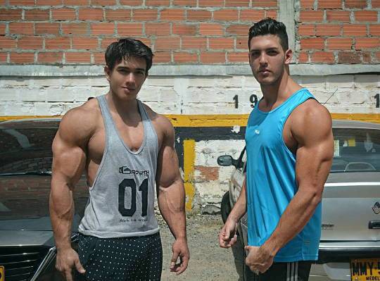 Workout buds | Scrolller