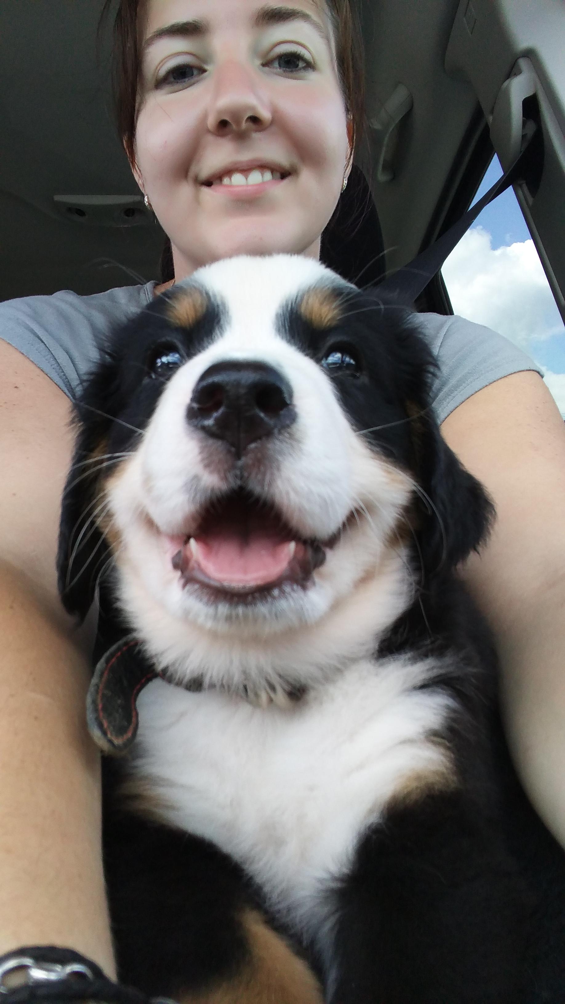 World, meet Moose | Scrolller