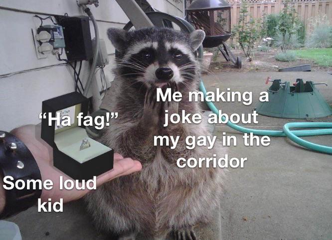 Wow that’s so funny well done mate | Scrolller