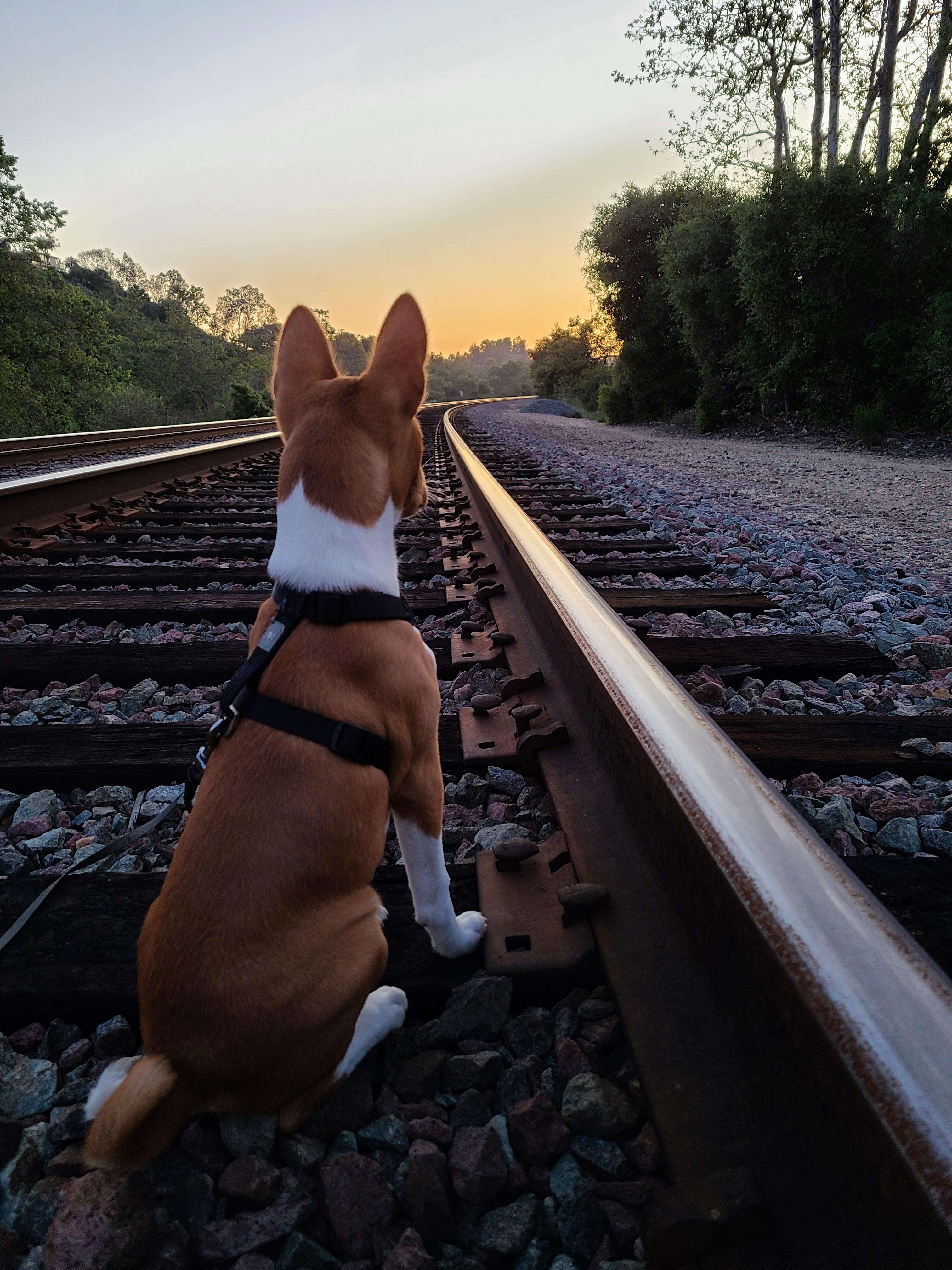 Wrong side of the tracks | Scrolller