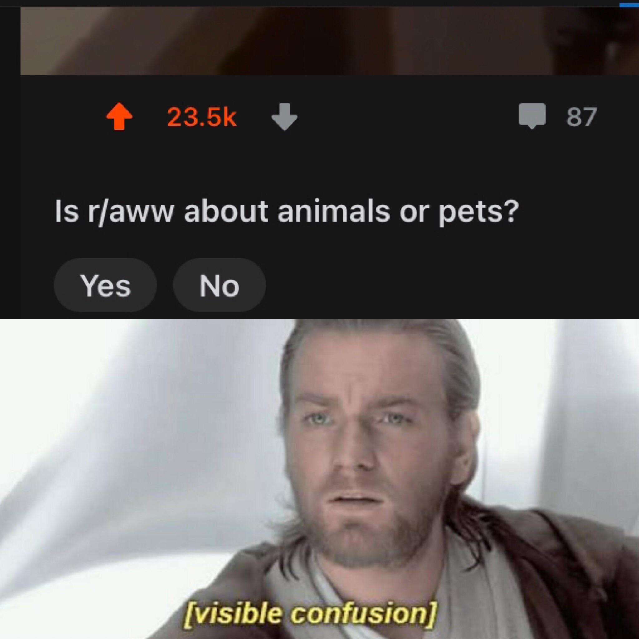 Wtf are these things anyways? | Scrolller