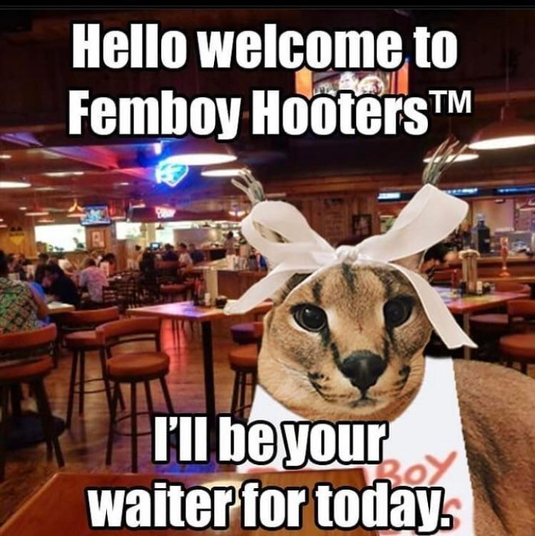 Wtf??? Floppa at femboy hooters??? | Scrolller