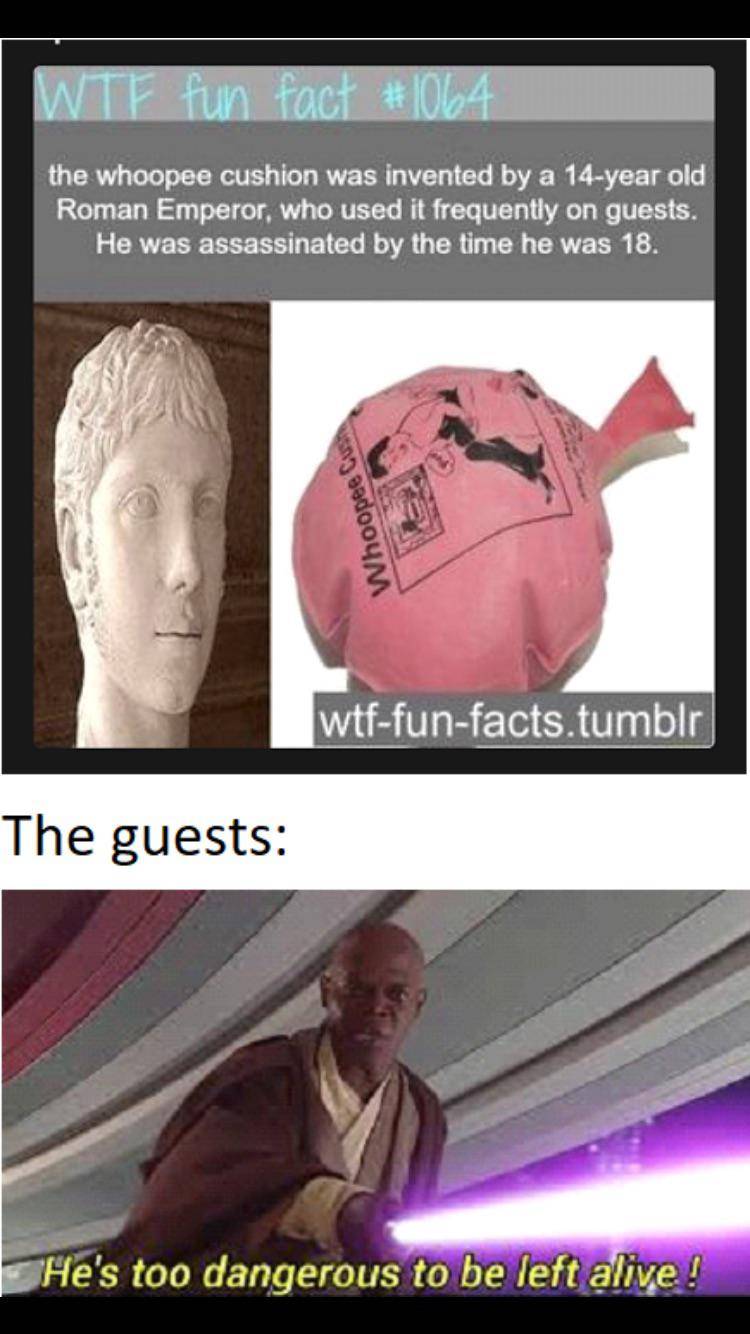 Wtf fun facts | Scrolller