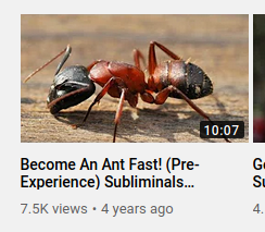 Wtf is this subliminal......... | Scrolller