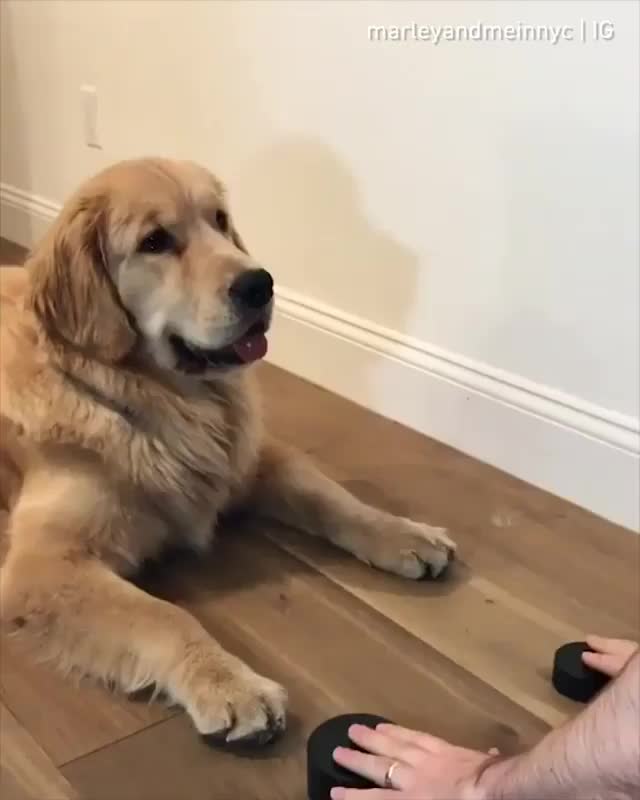 WTF Mike ? | Scrolller