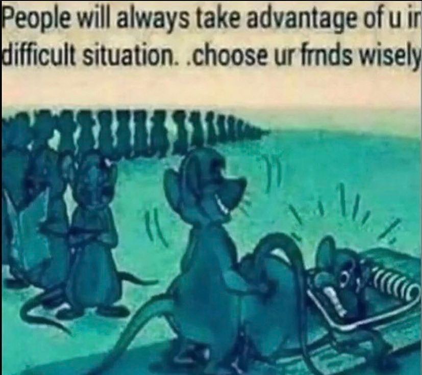 WTF [nsfw] | Scrolller