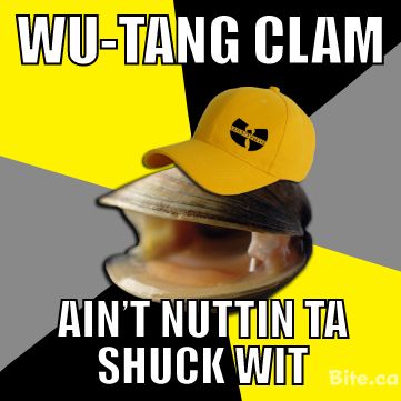 Wu-Tang Clam | Scrolller