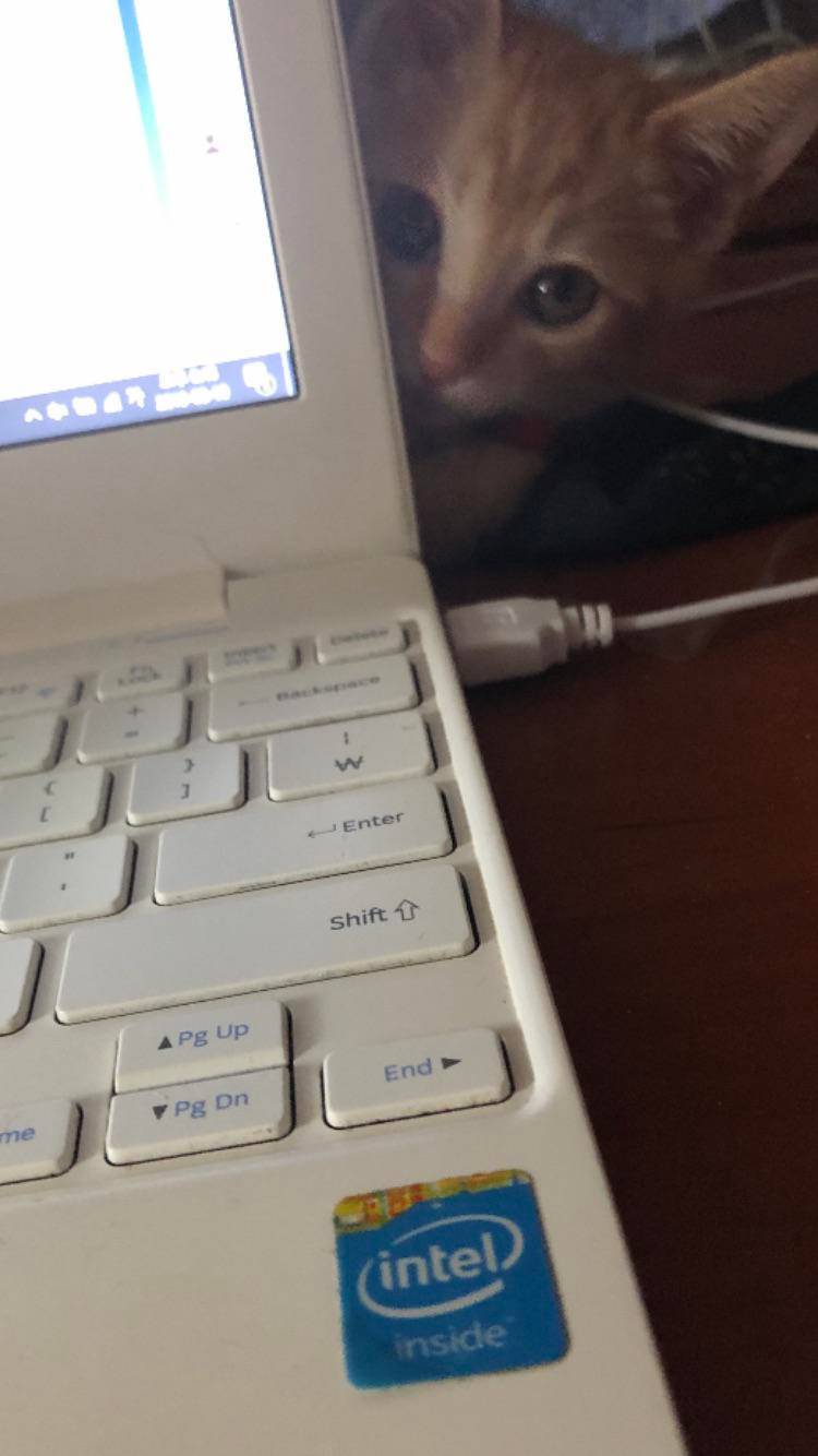 Wut YoU doInG, HoomUN? | Scrolller