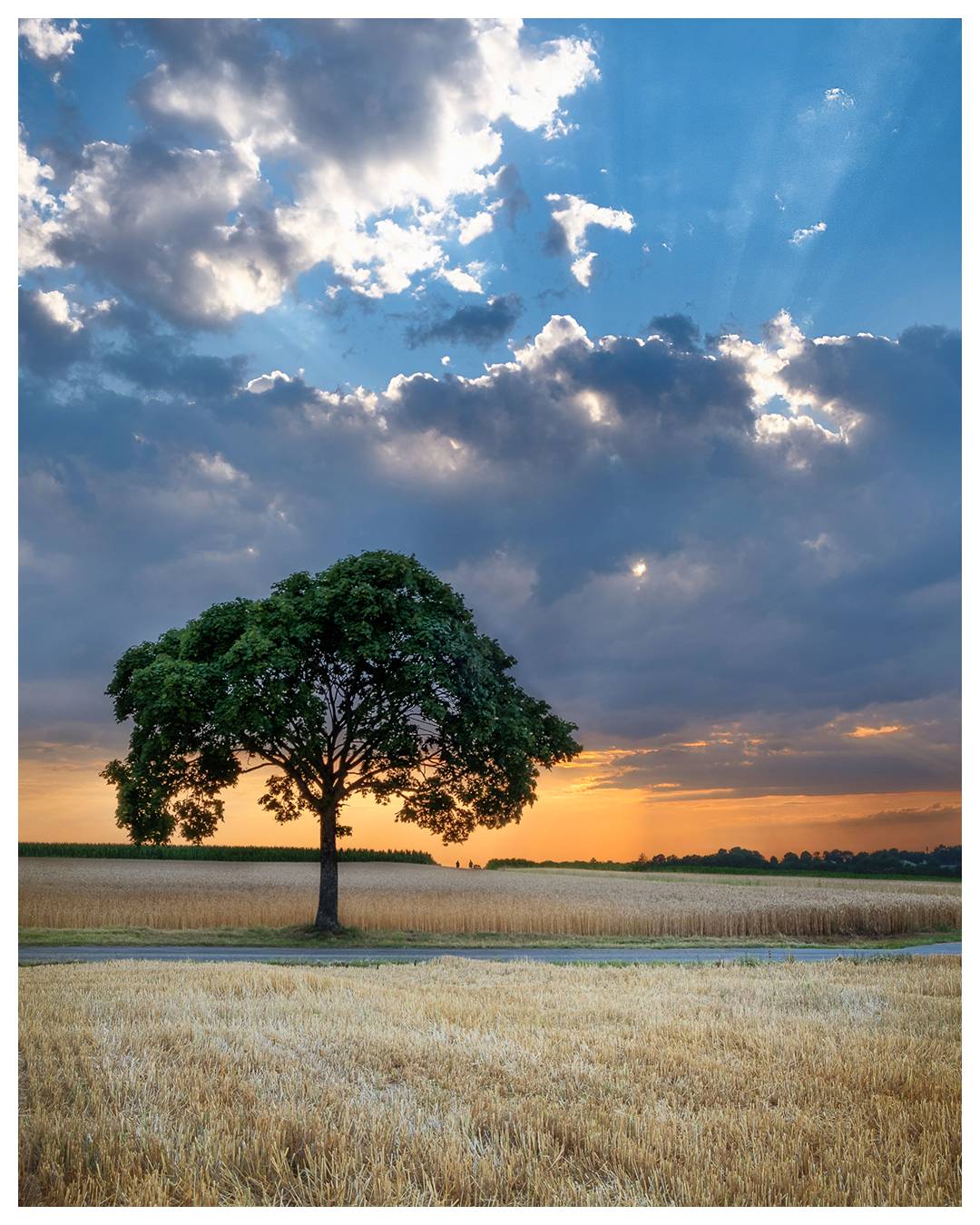 X-T3 18-55mm | Scrolller