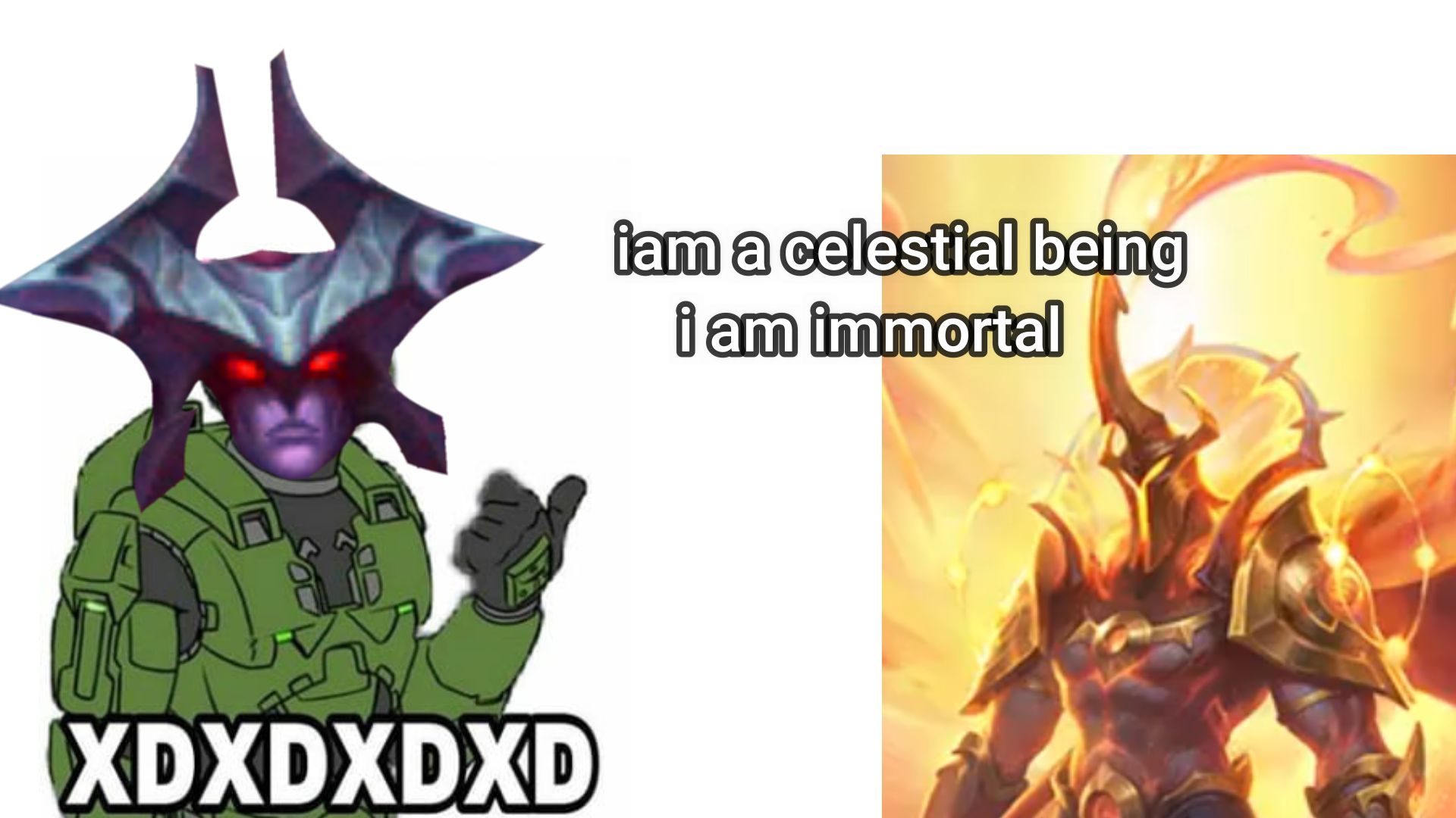 XD | Scrolller