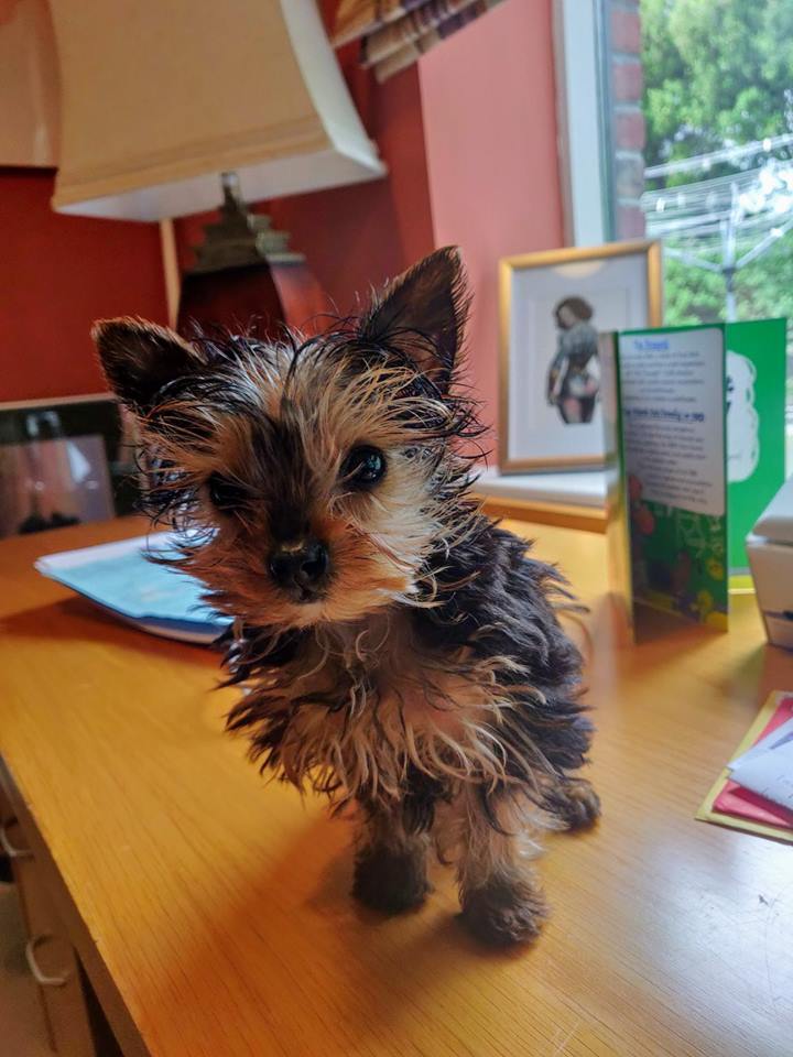 Xena ... our little baby! potty training in full effect!! | Scrolller