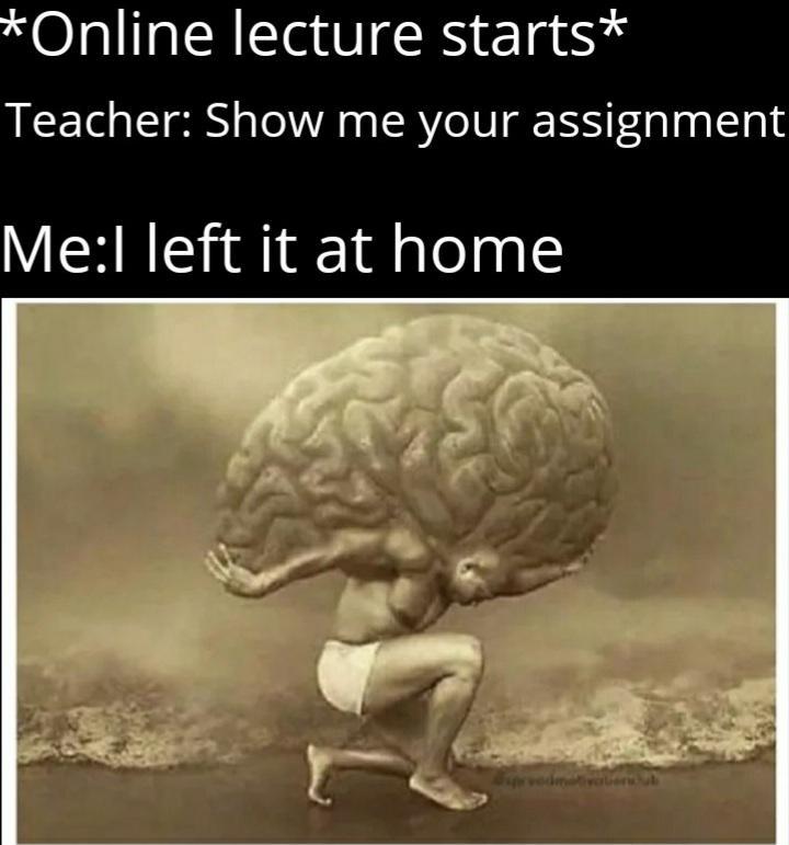 Yah this is big brain | Scrolller