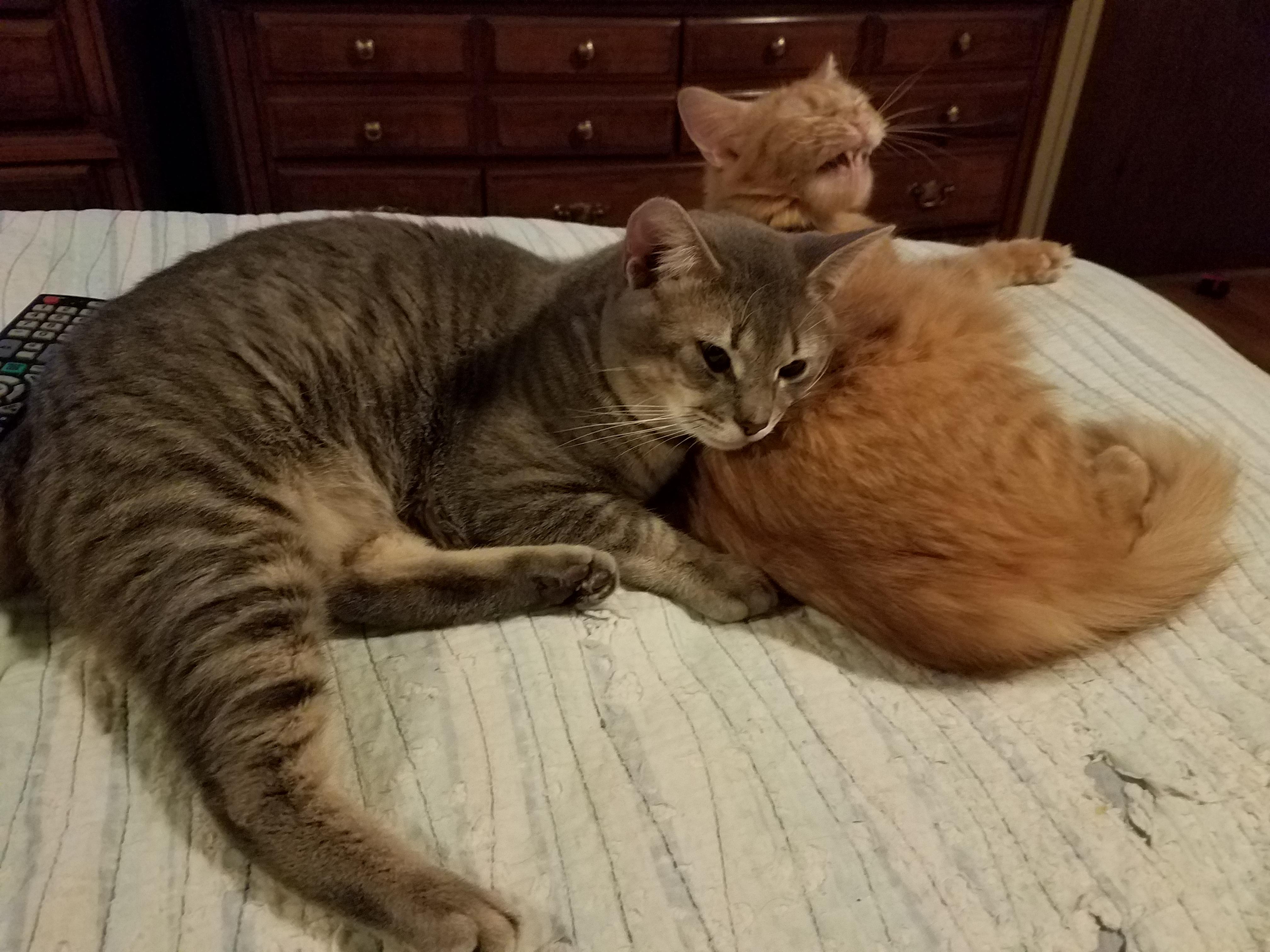 Yawning scrunge | Scrolller