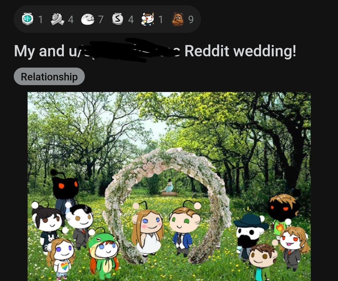 Yeah... nah | Scrolller