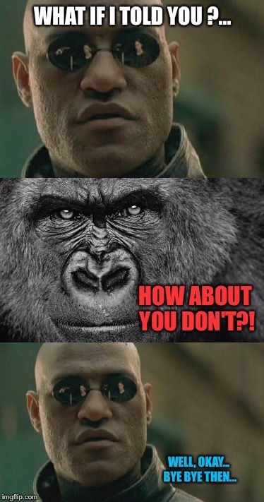 Yeah, what if this meme stops.. | Scrolller