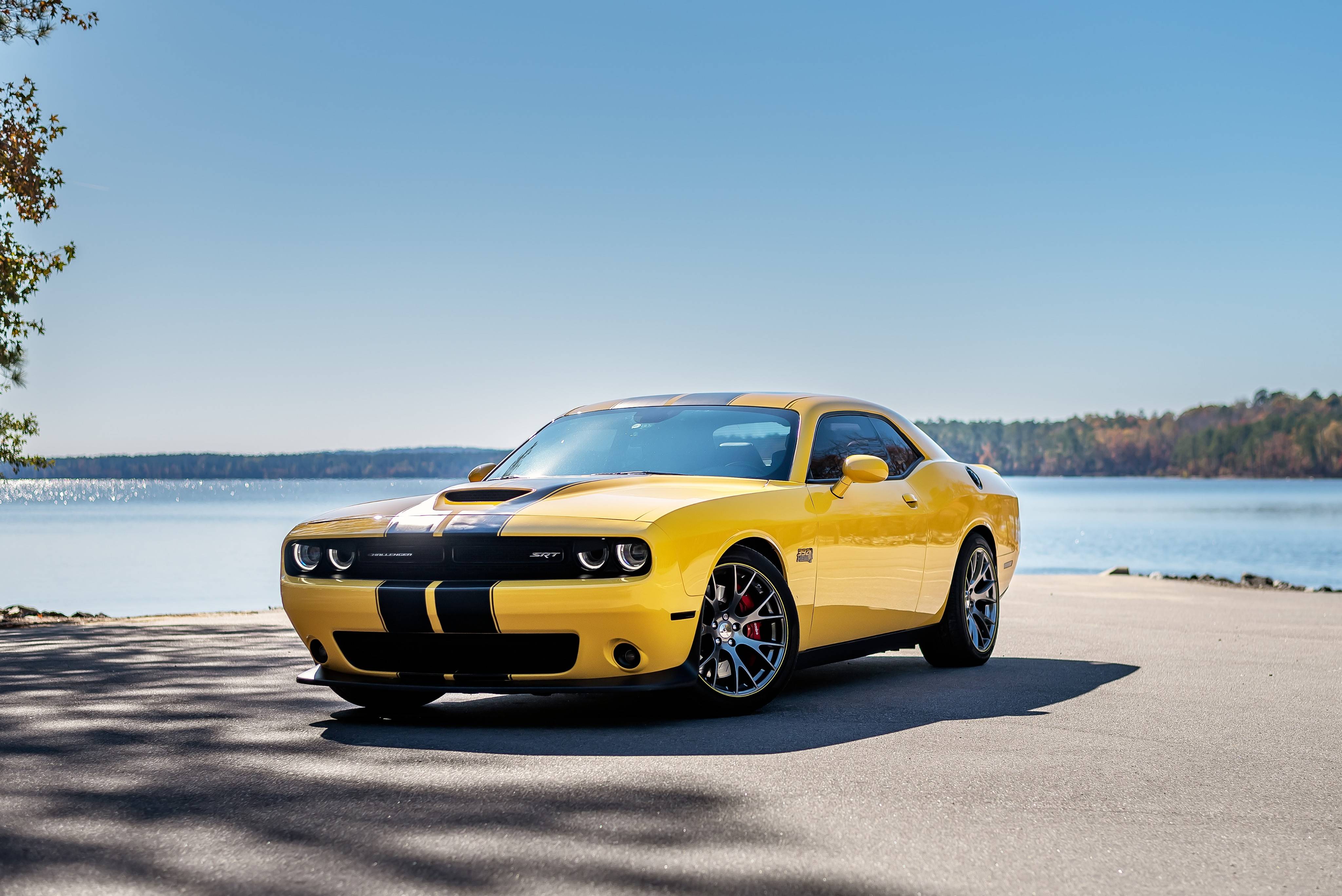 Yellow Jacket by the lake | Scrolller