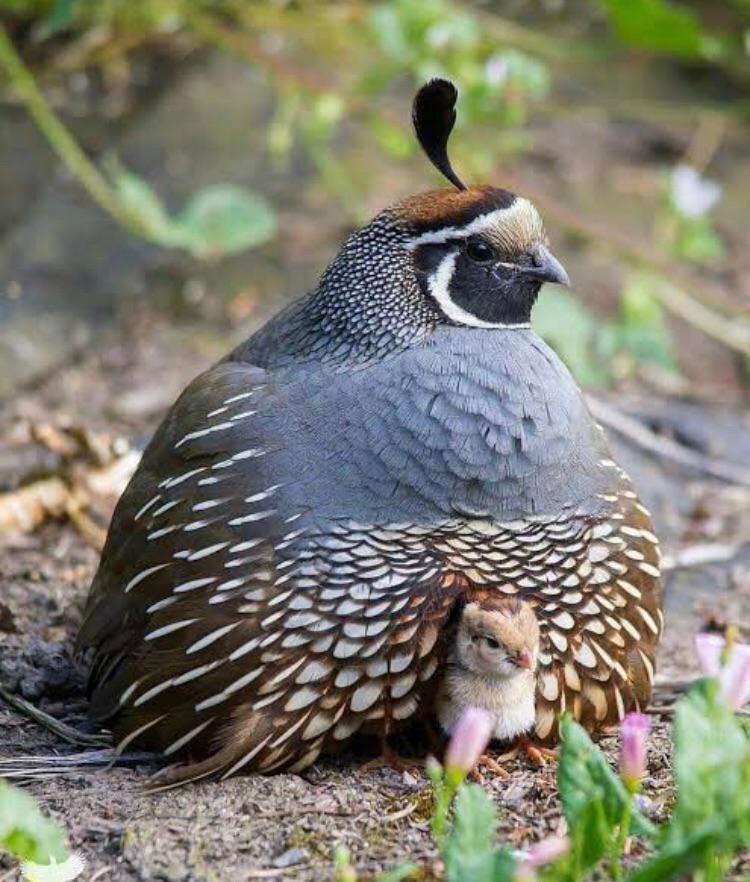 Yep. It’s definitely cute | Scrolller