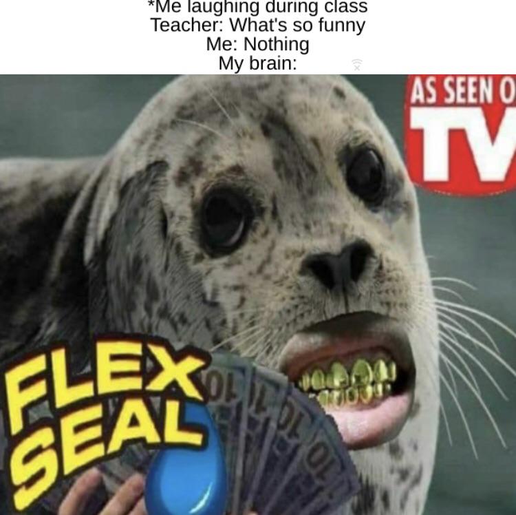 Yes it’s Flex Seal | Scrolller