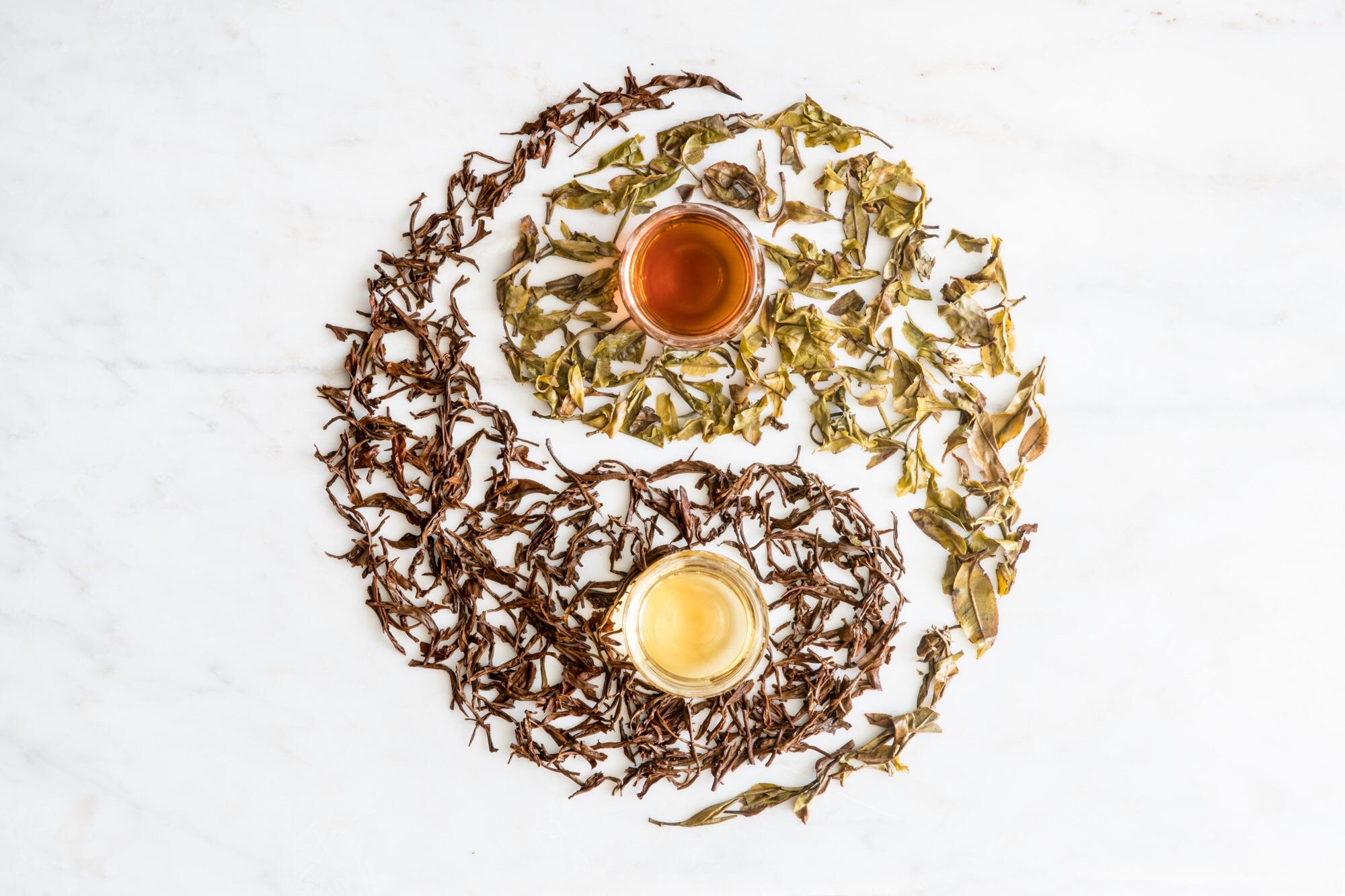 Yin Yang. | Scrolller