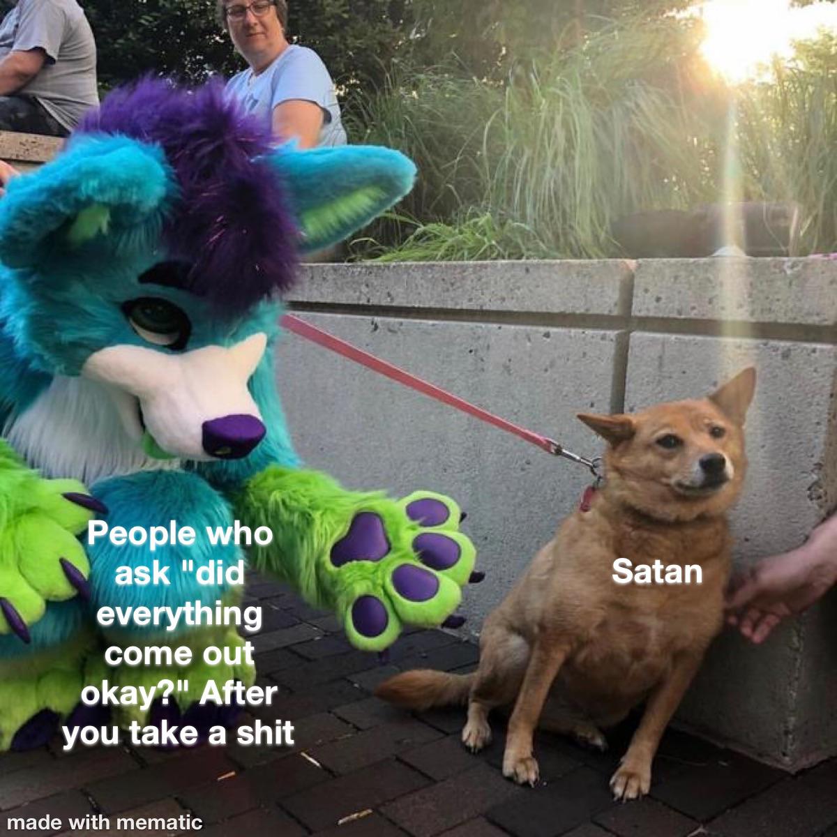 You care too much | Scrolller