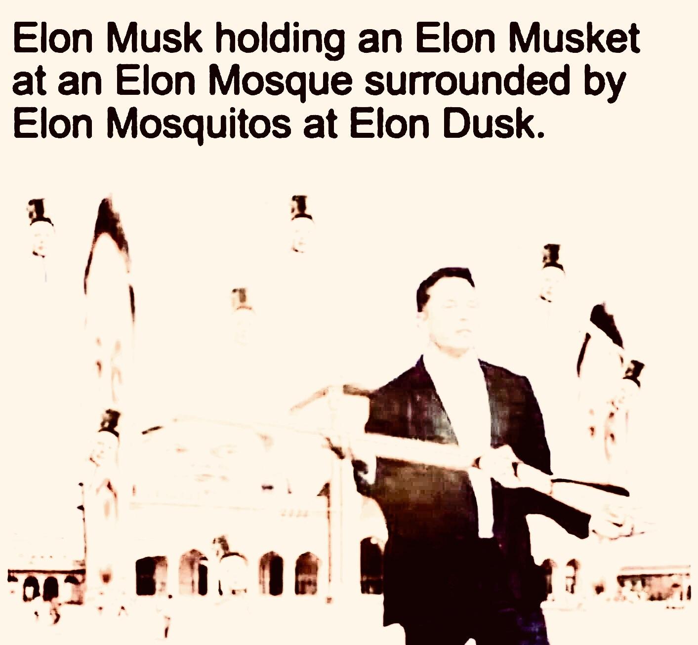 You Elon must | Scrolller