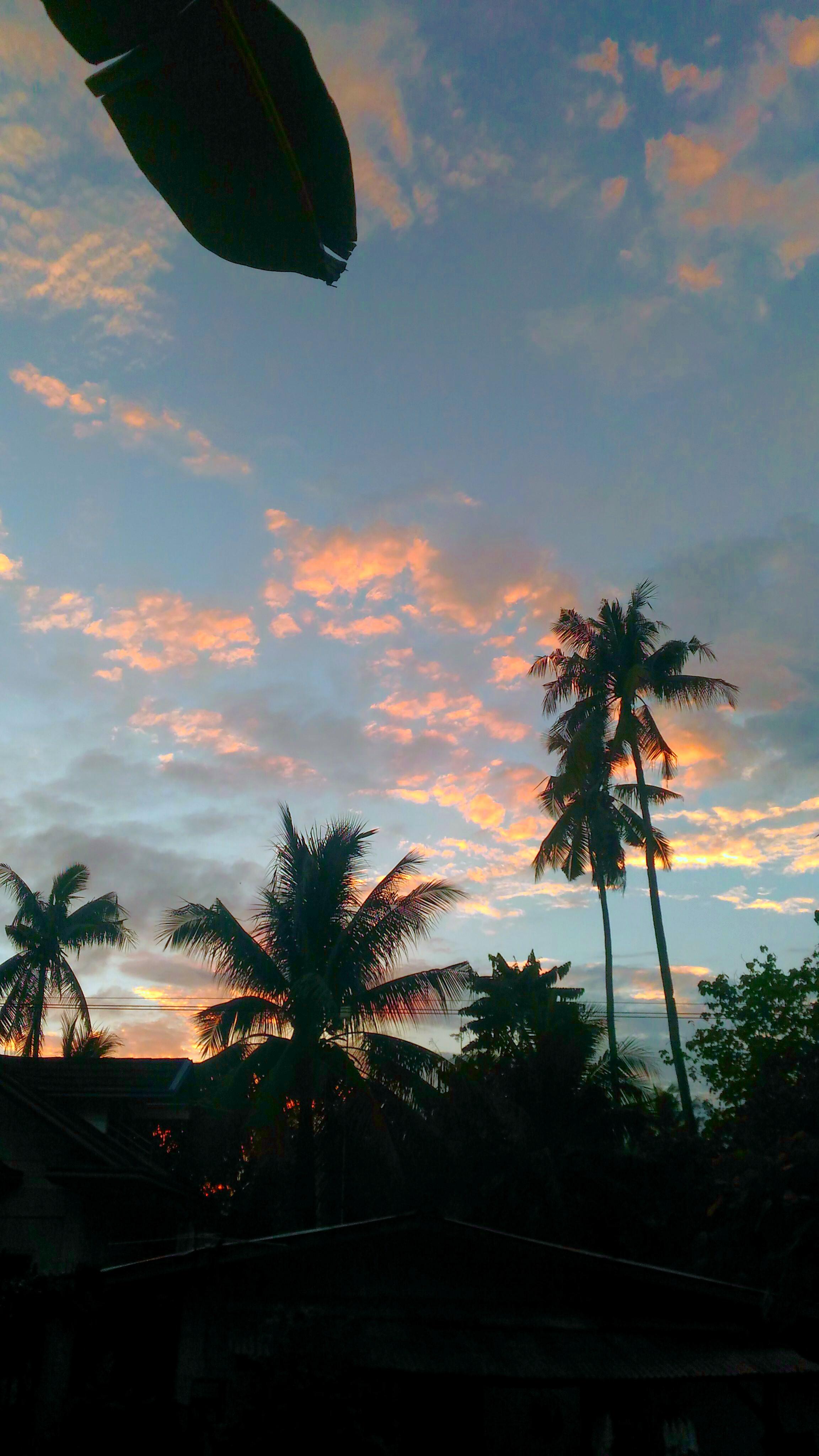 You guys judge. | Scrolller