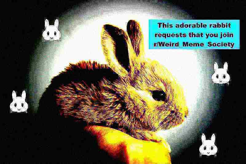 you have been chosen | Scrolller