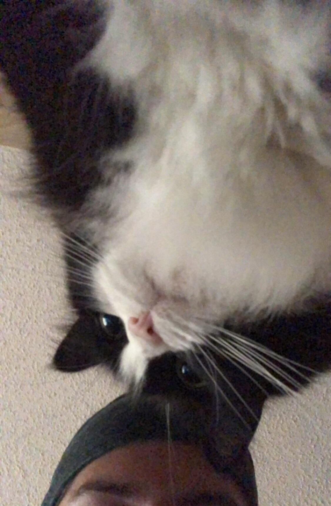 You look up and see her, what is she thinking? | Scrolller