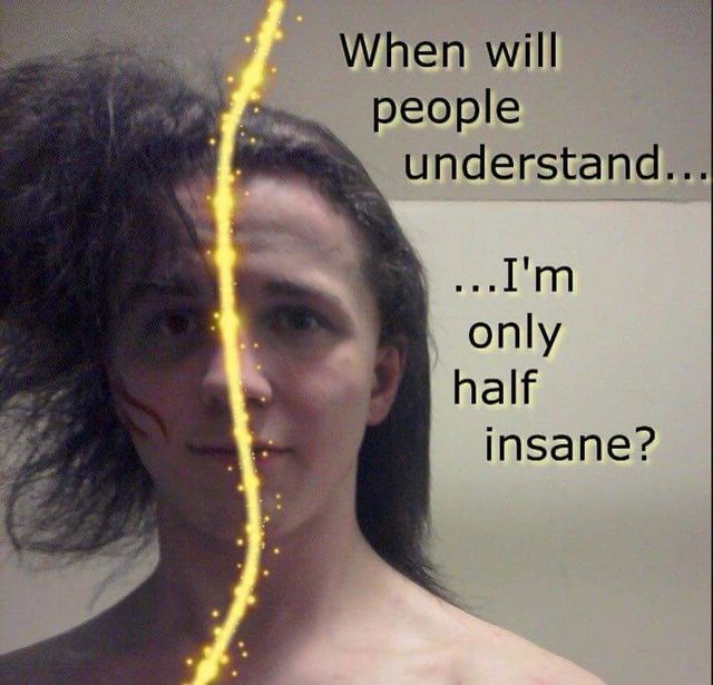 You mean fully insane | Scrolller