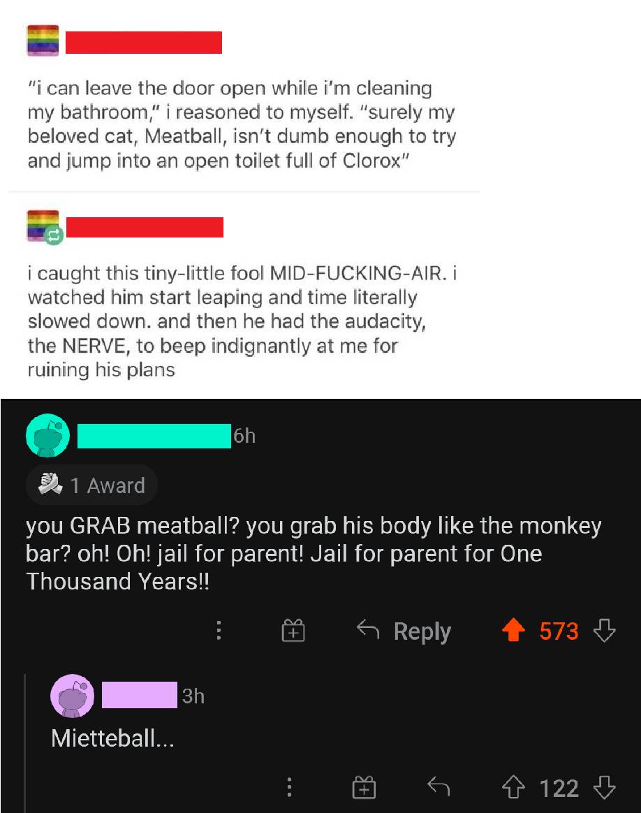 You MOCK Miette's name?? | Scrolller