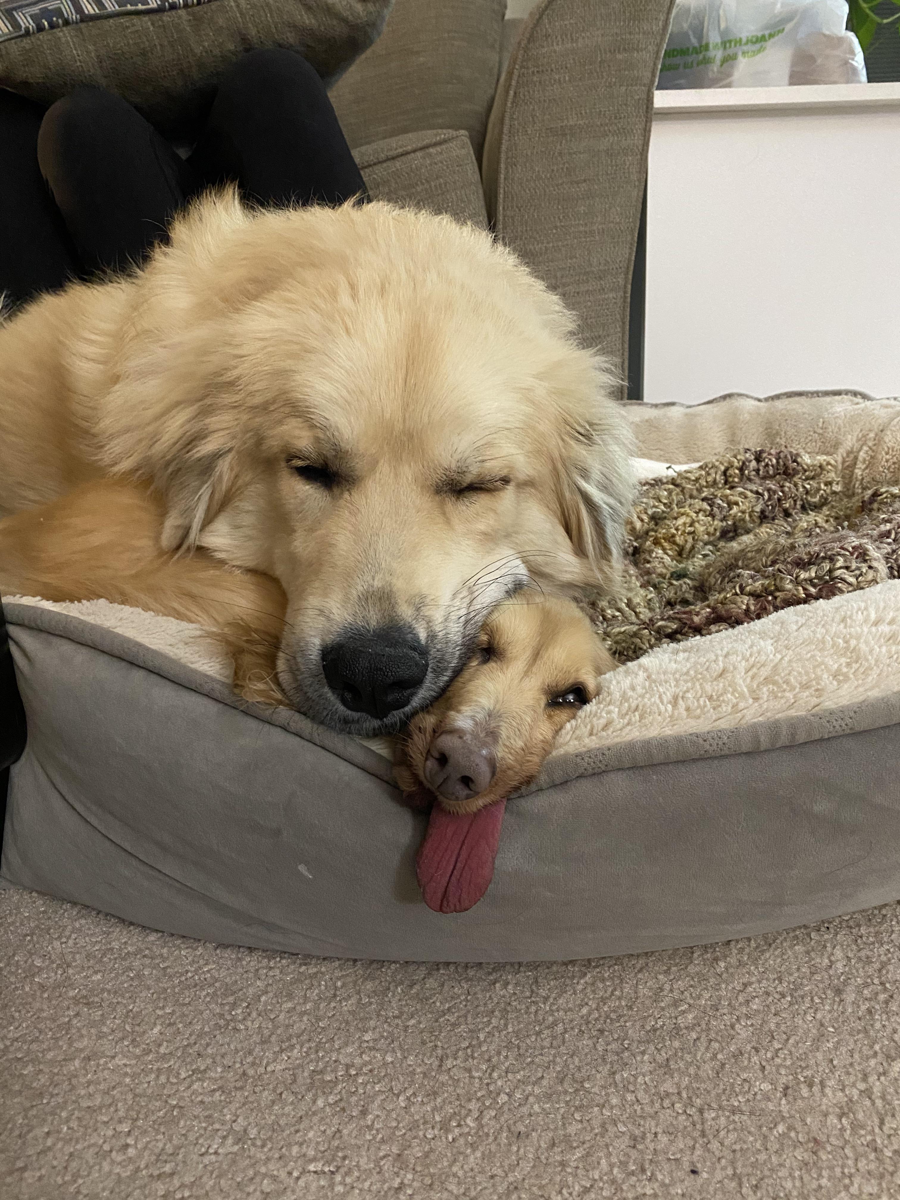 You’re squishing me | Scrolller