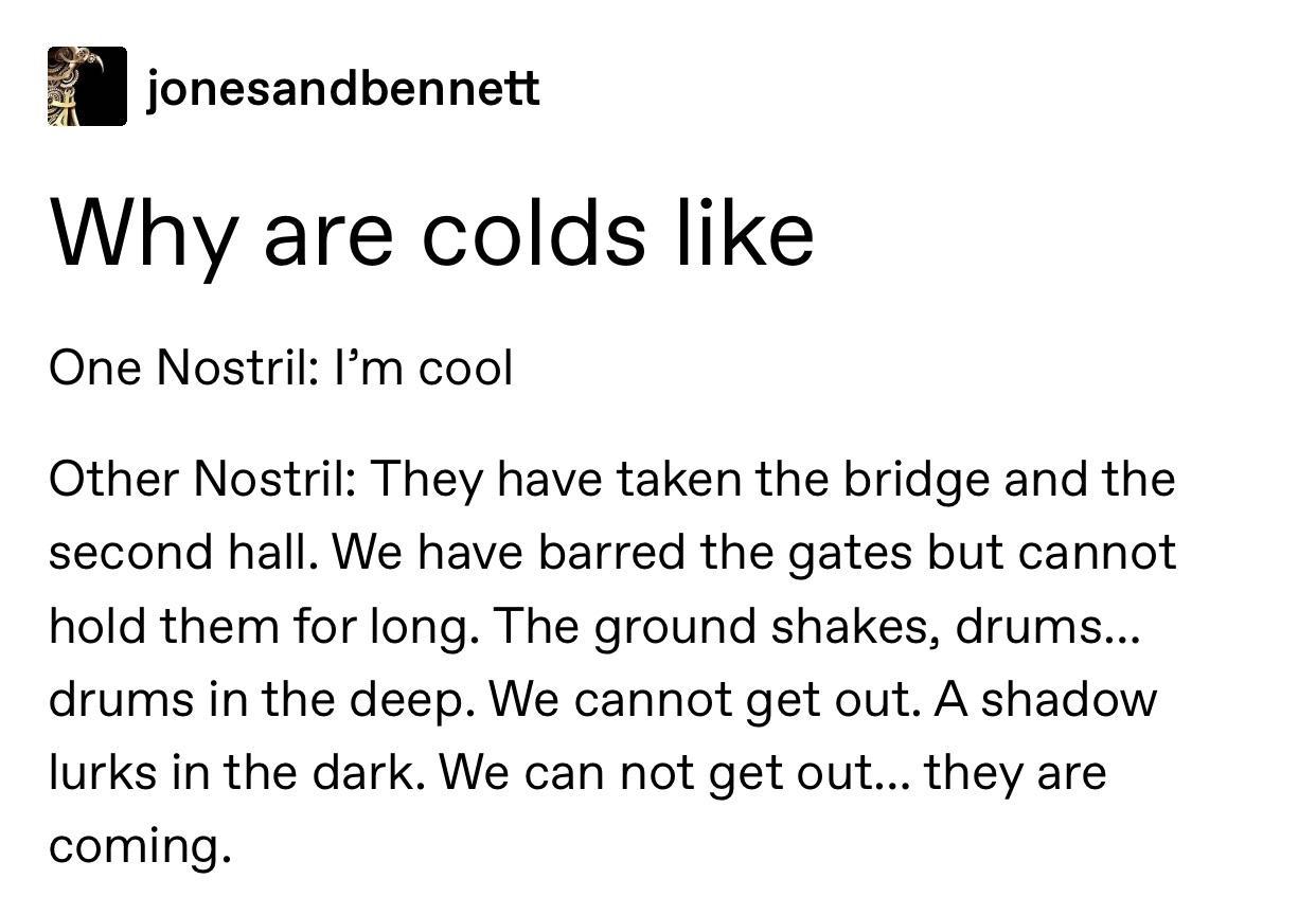 You shall not pass (through the sinus cavity) | Scrolller