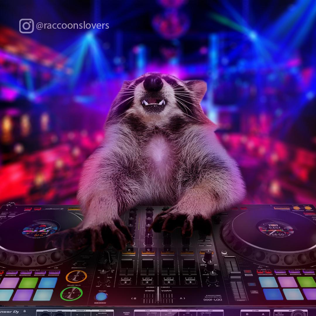 Your favorite Dj is hereee MAKE SOME NOISEE !!! | Scrolller