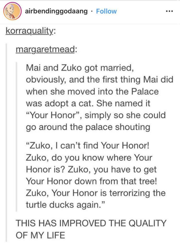 Your honor | Scrolller